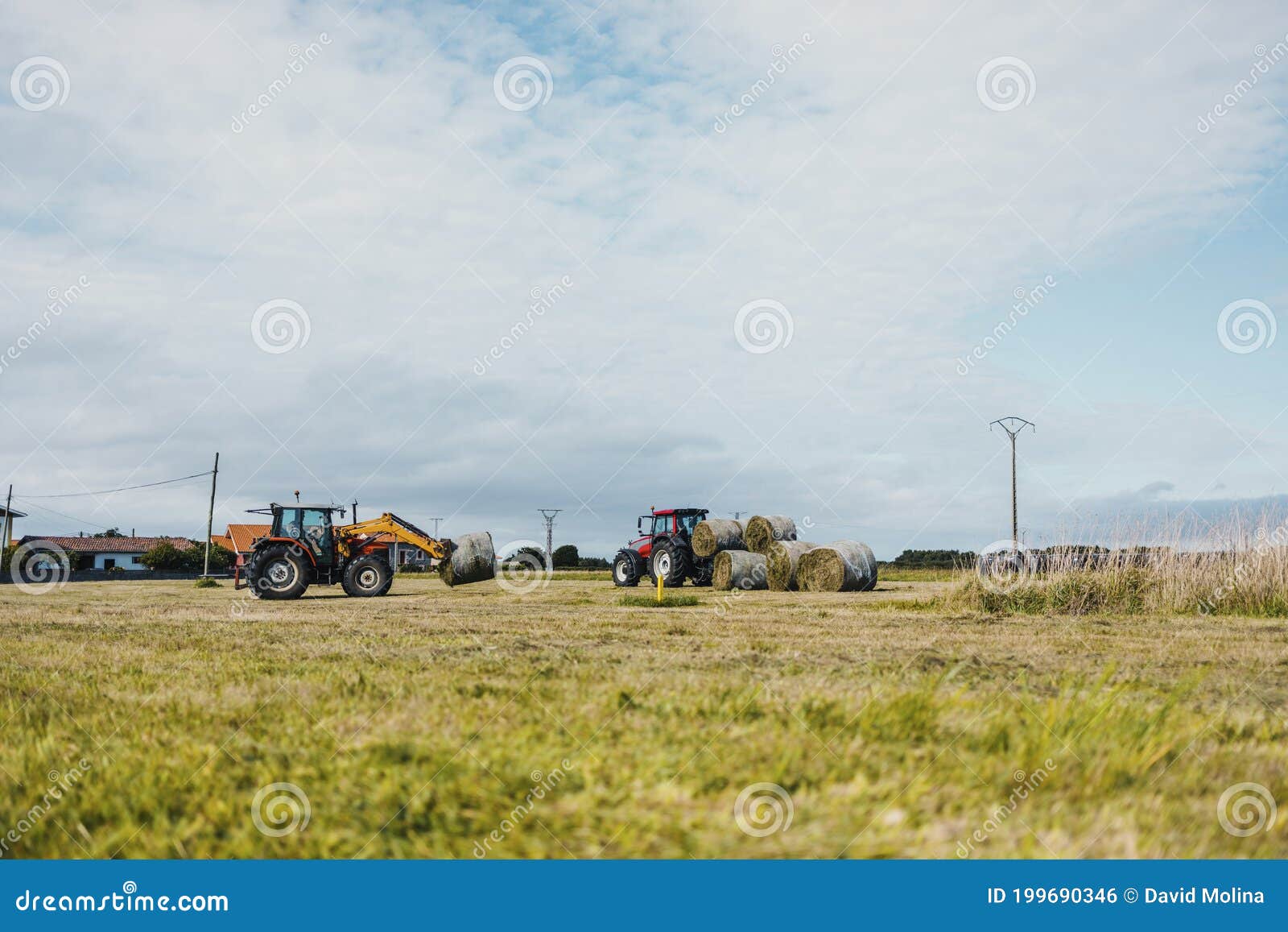 A Tractor Loading a Trailer during Harvesting Time Stock Photo - Image ...
