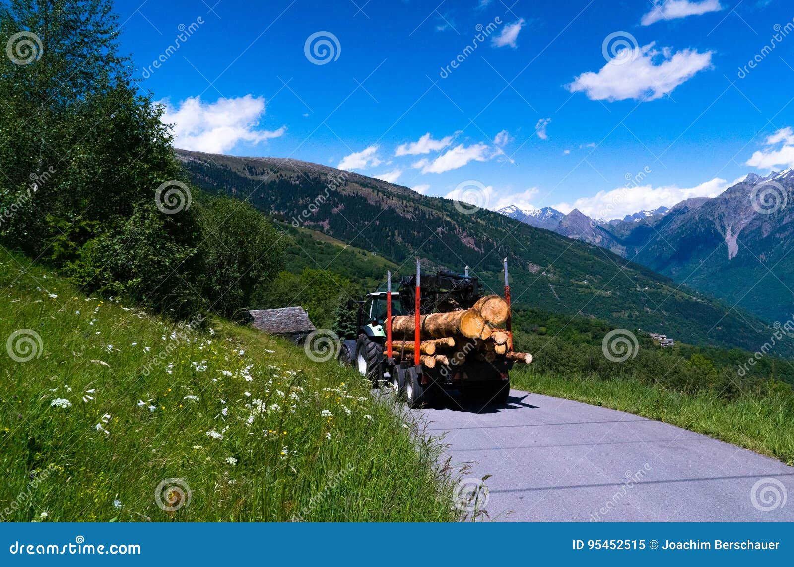 Tractor with Logs in the Swiss Alps. Stock Image - Image of rough, pile ...