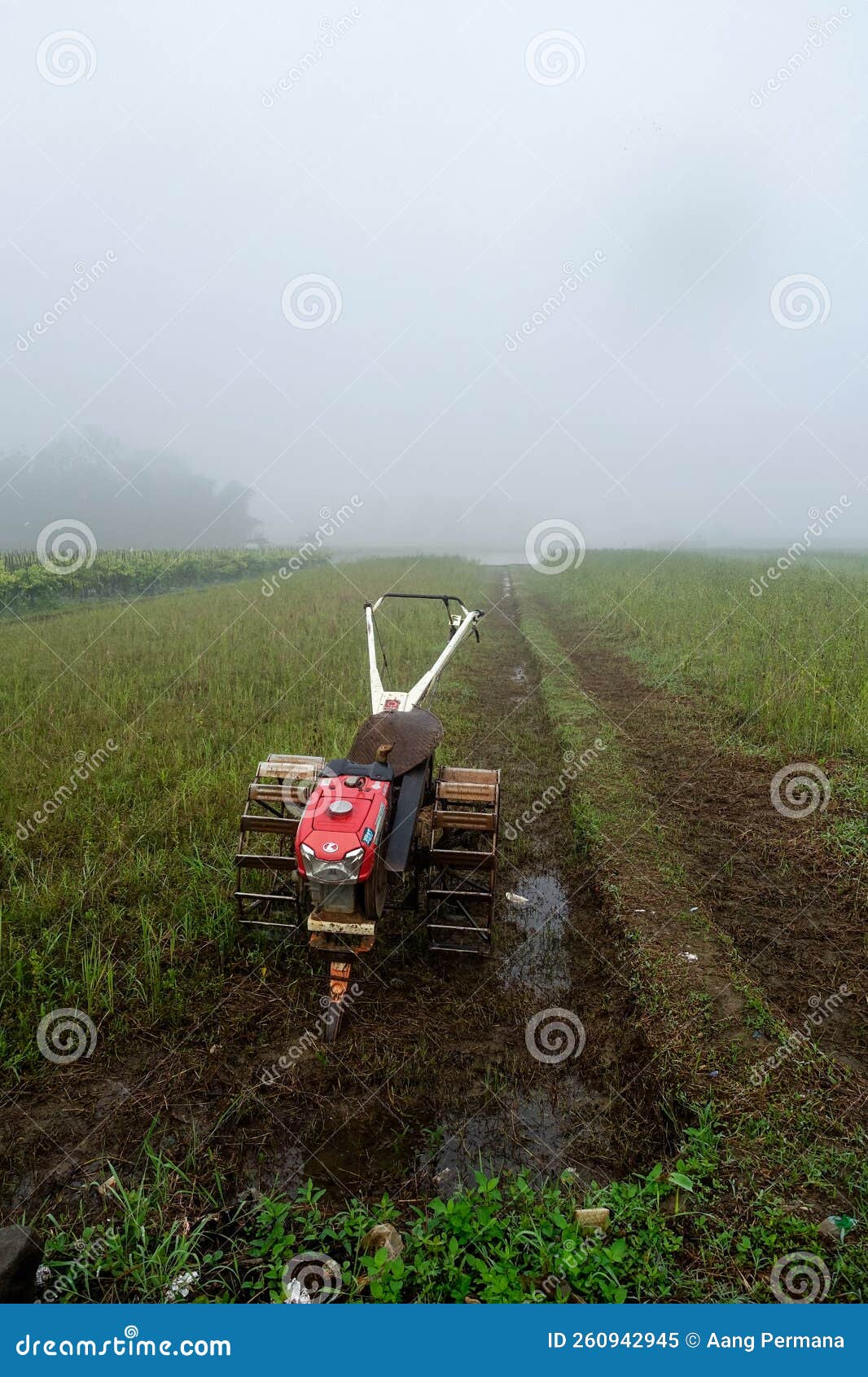 Tractor Machine on the Rice Fields Editorial Image - Image of central ...
