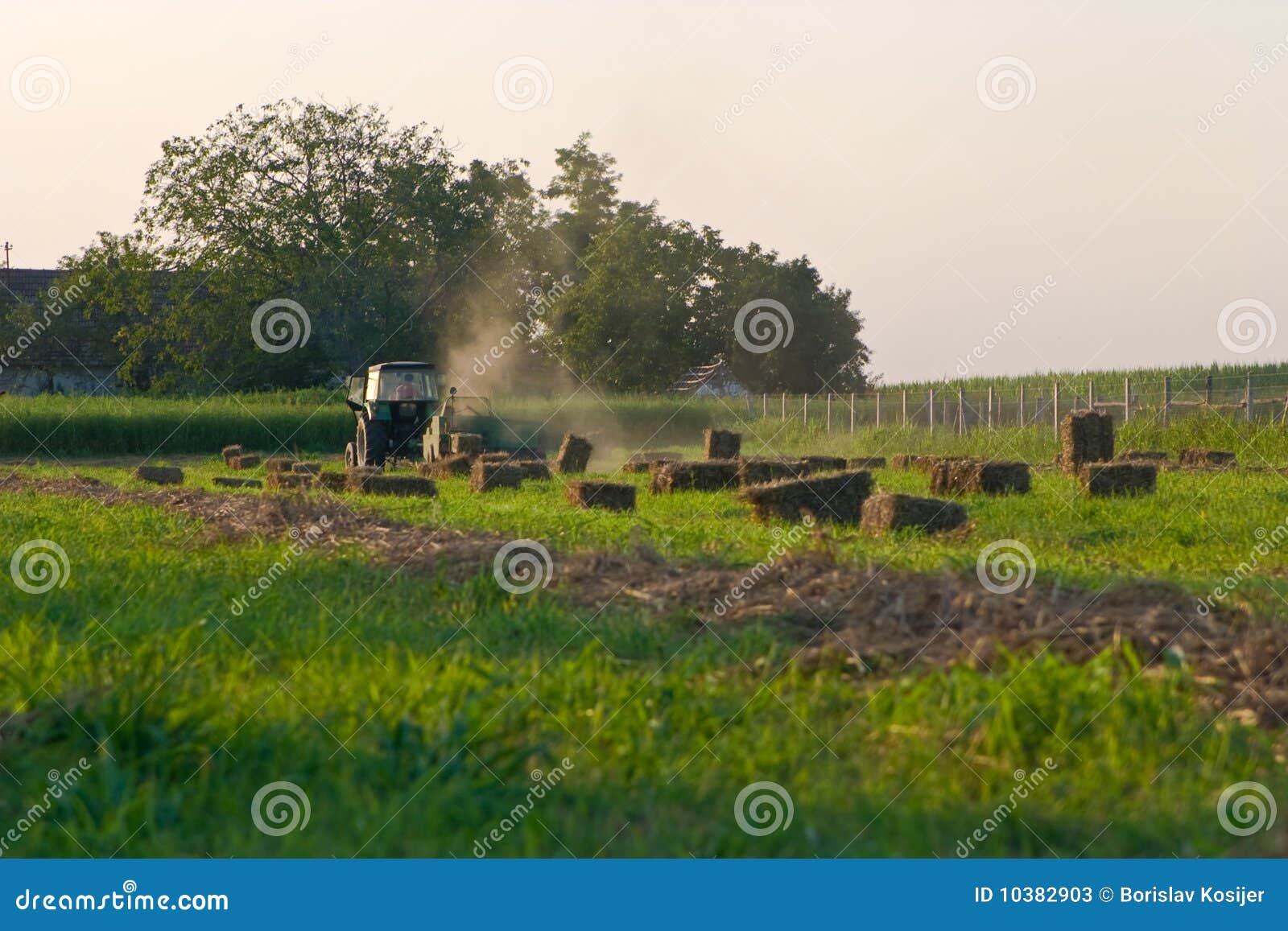 Tractor making Hay bales stock image. Image of bales - 10382903