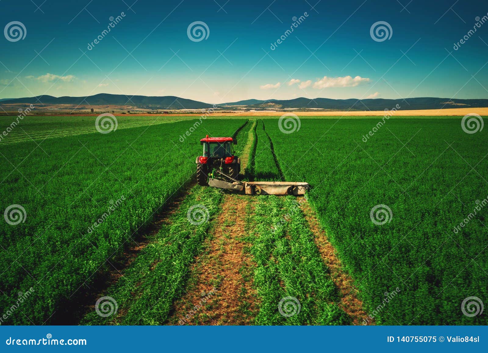 A Man On A Tractor Mowing Hay, Mower Lifted Into Transport Position ...