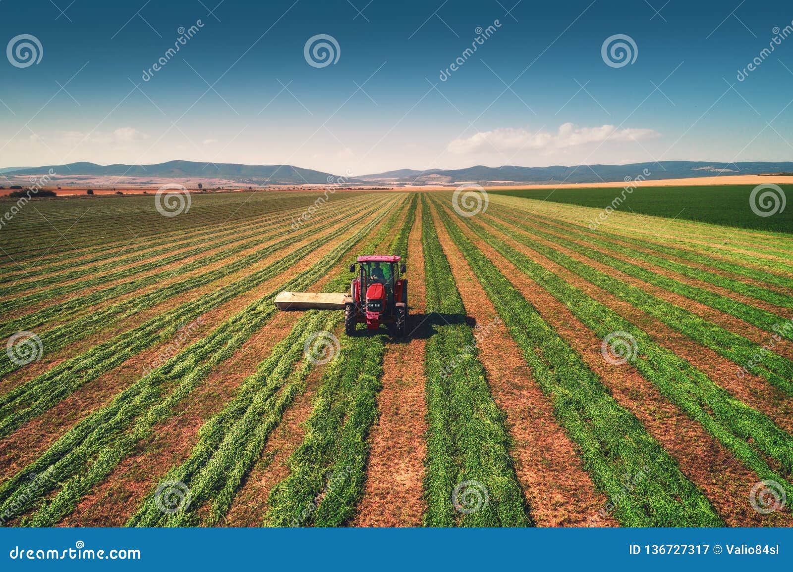 Tractor mowing green field stock image. Image of maintenance - 136727317