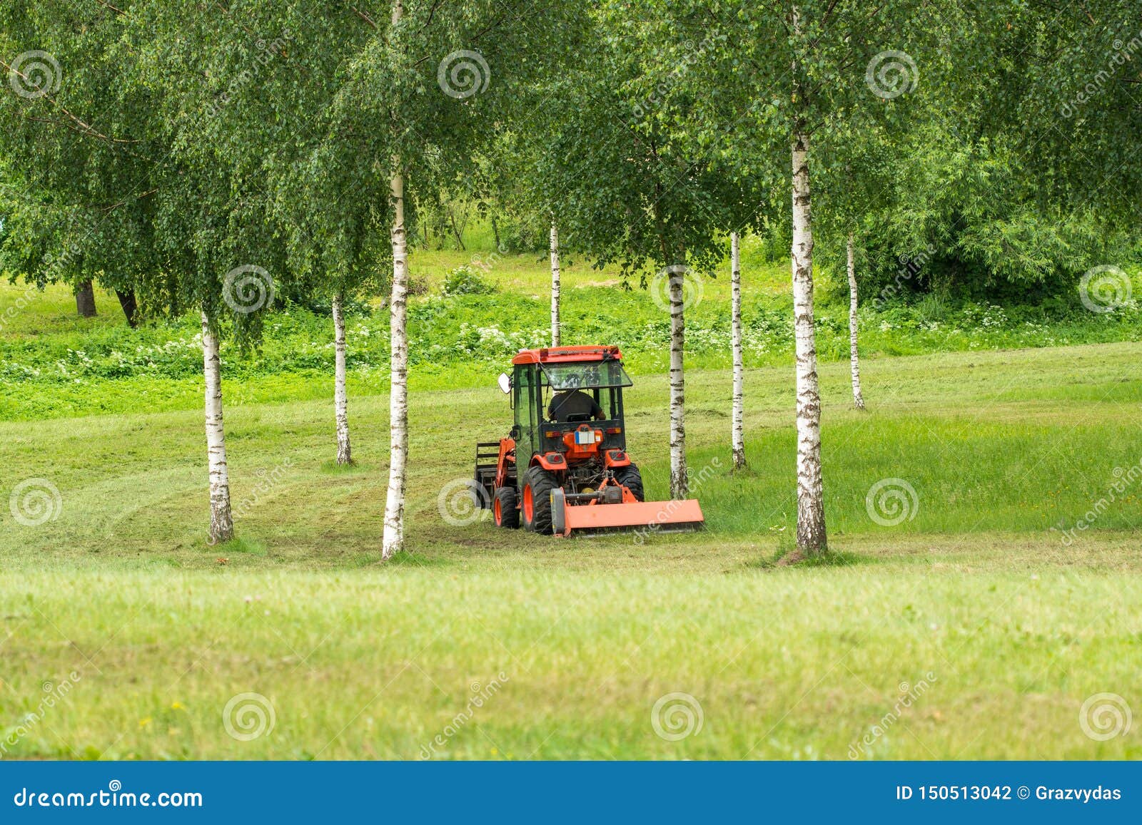 A Man On A Tractor Mowing Hay, Mower Lifted Into Transport Position ...