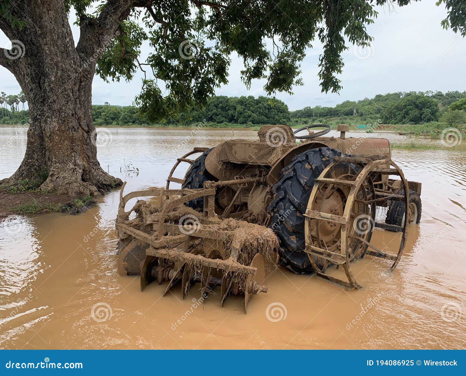 Tractor in the Mud Under Green Tree Stock Image - Image of industry ...