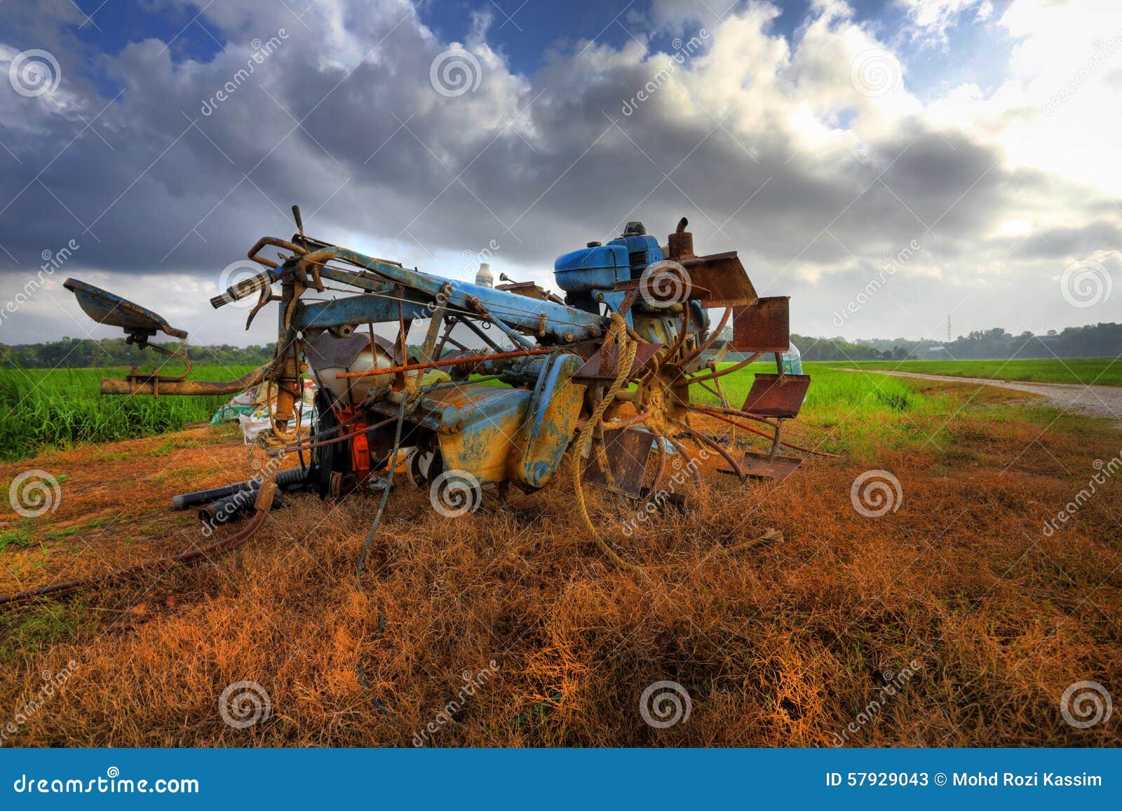 A tractor at paddy field stock image. Image of field - 57929043