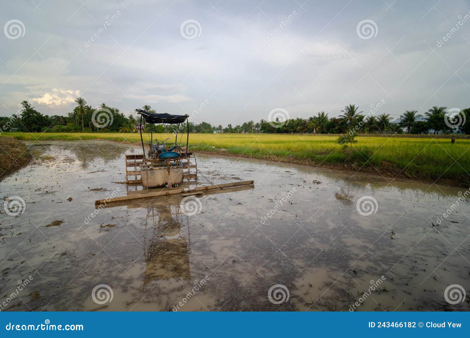 Tractor Park in Paddy Field Stock Photo - Image of machine, driving ...
