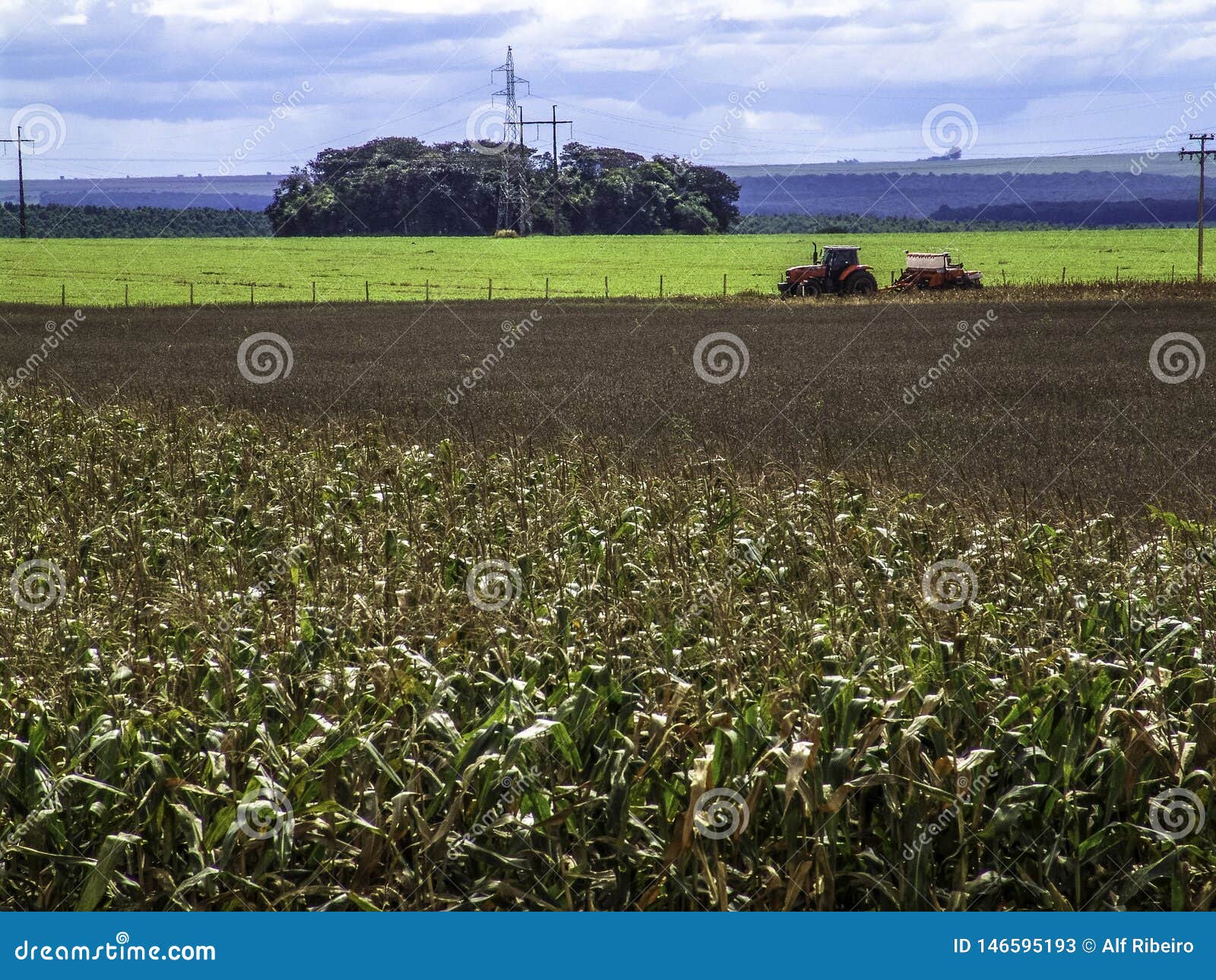 Tractor with Planter in Soy and Corn Field Stock Image - Image of ...
