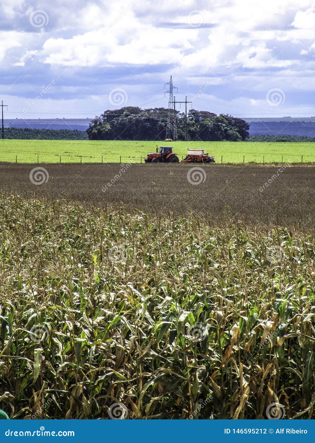 Tractor with Planter in Soy and Corn Field Stock Photo - Image of ...