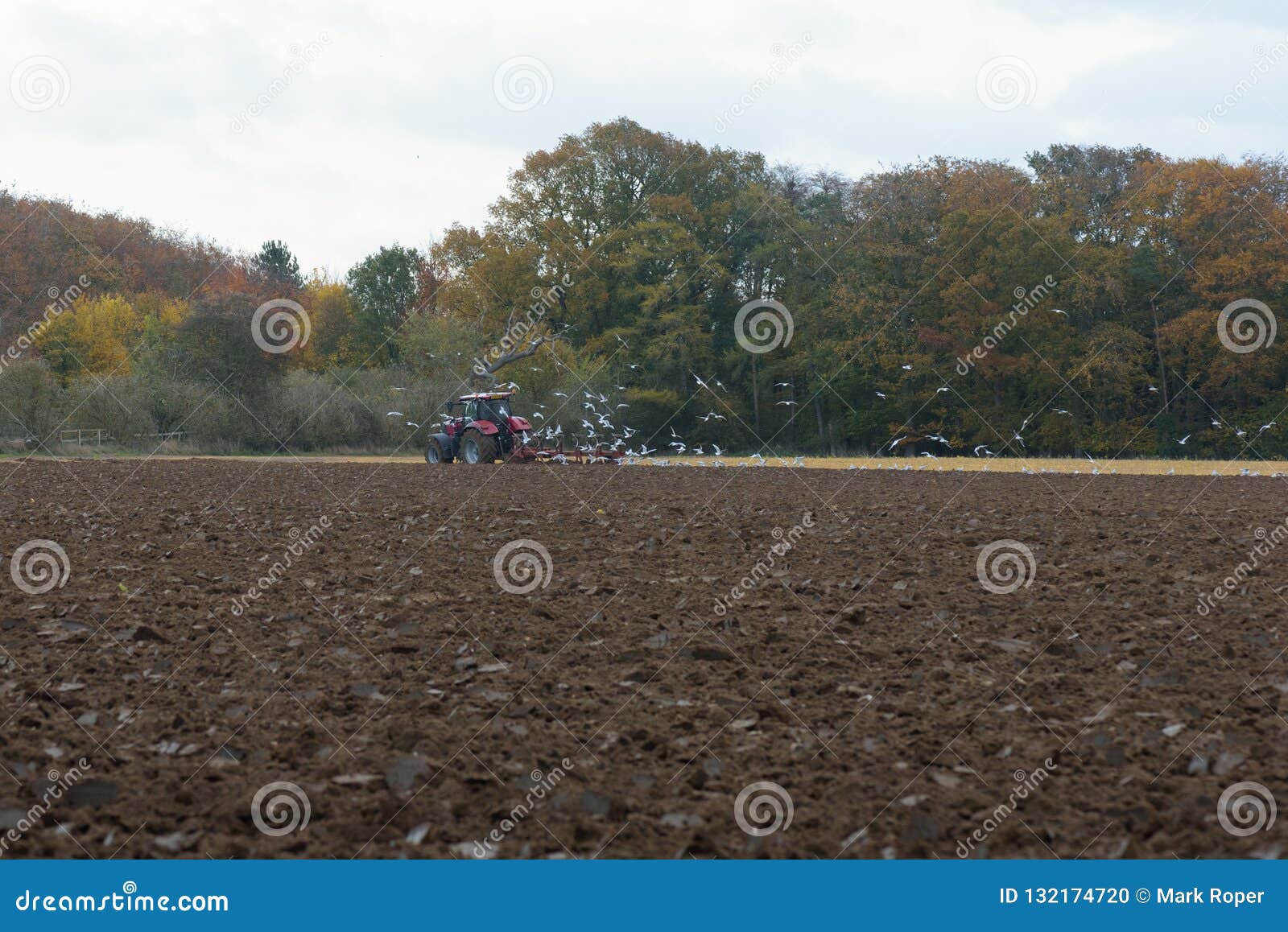Tractor ploughing field stock photo. Image of field - 132174720