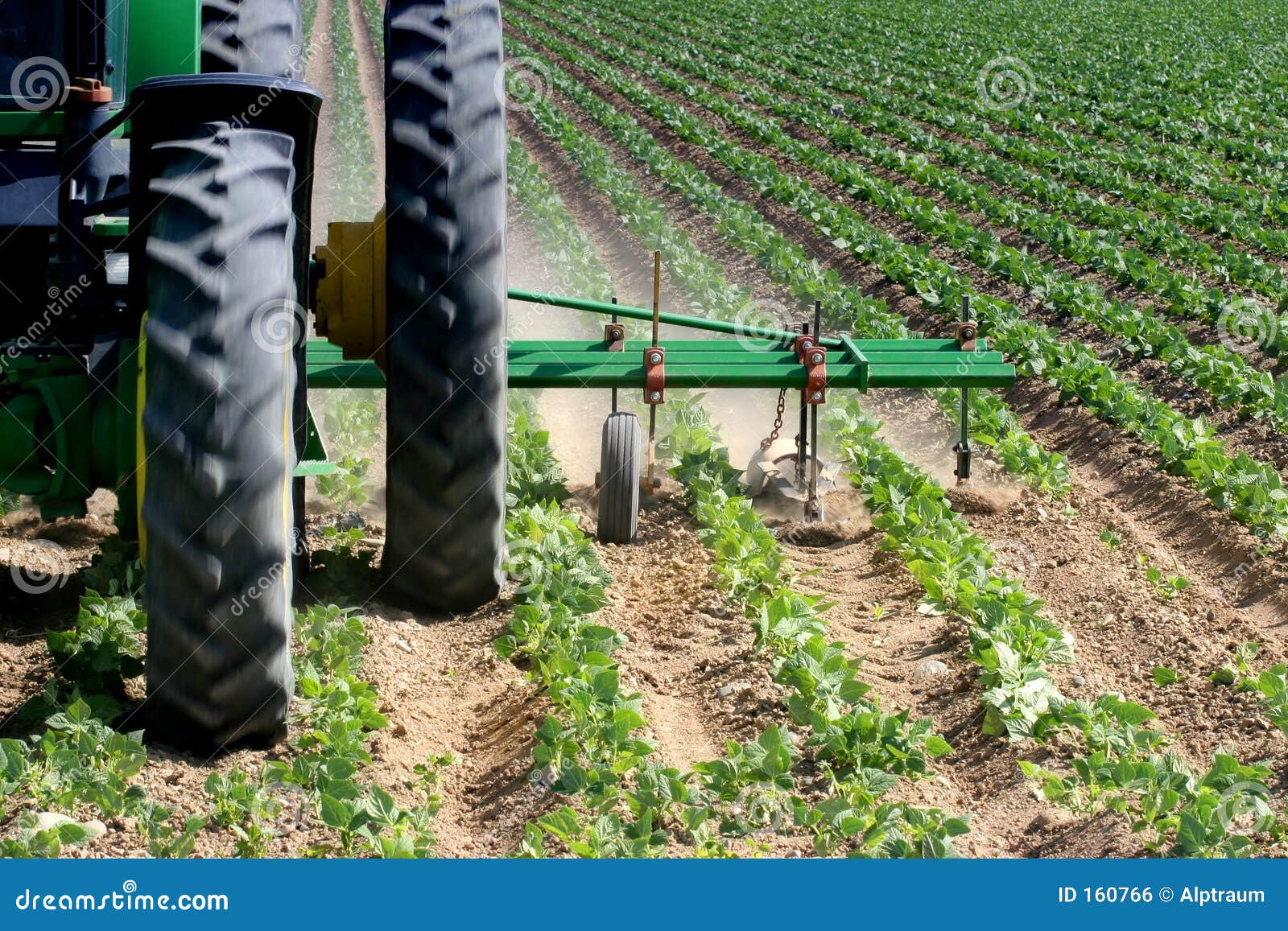 Tractor plowing stock photo. Image of crops, crop, driving - 160766 Tractor plowing stock photo. Image of crops, crop, driving - 160766