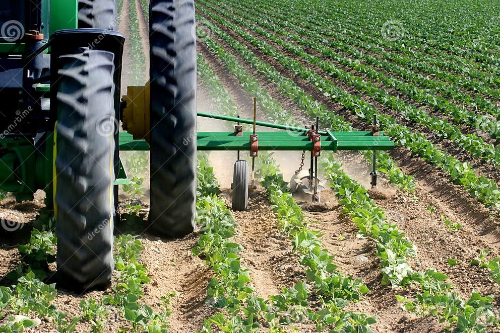 Tractor plowing stock photo. Image of crops, crop, driving - 160766