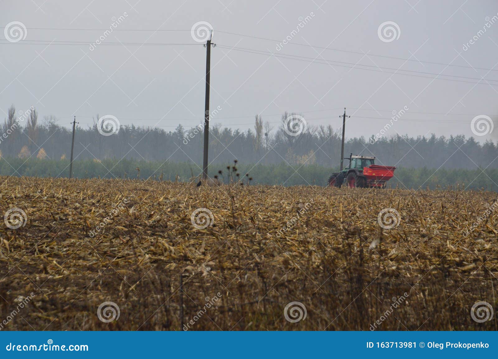 Tractor Plowing Field after Harvesting Corn Stock Image - Image of ...