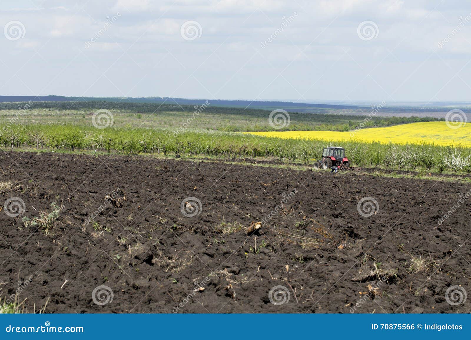 Tractor plowing field. stock photo. Image of landscape - 70875566