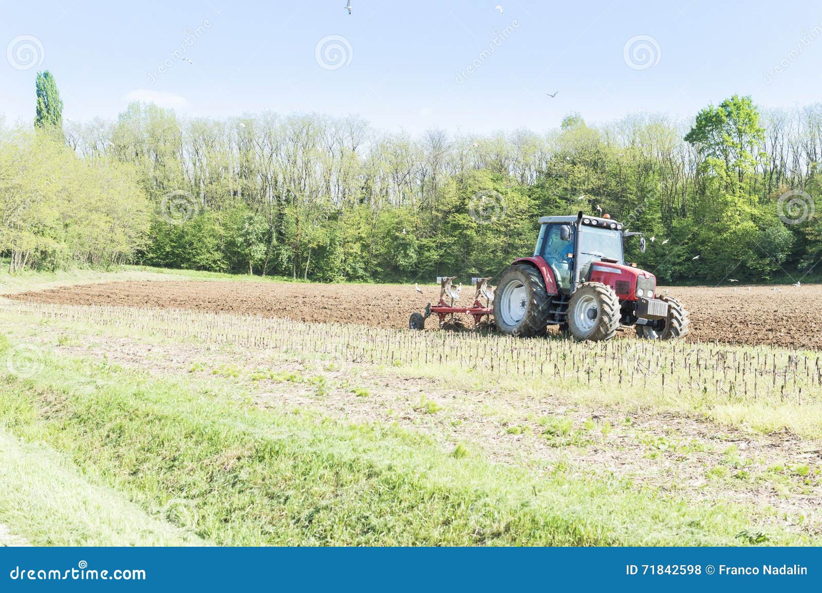 Tractor plowing the fields stock photo. Image of wheat - 71842598