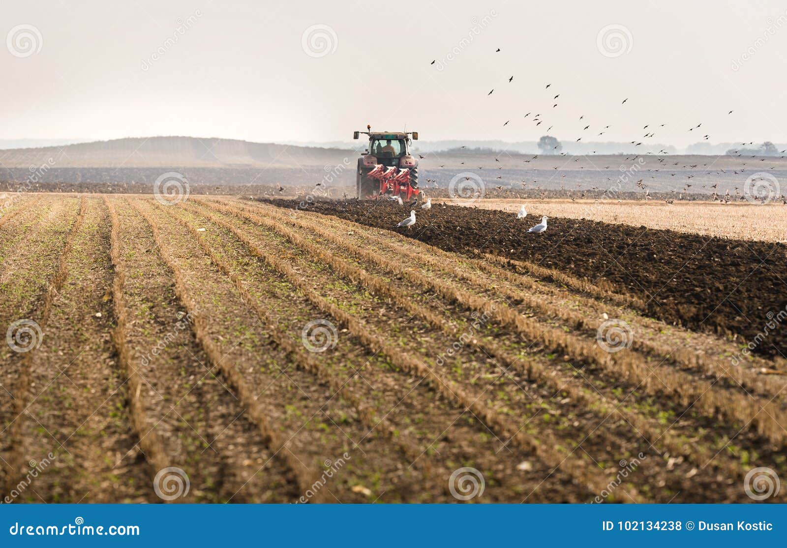 Tractor Plowing Fields -preparing Land for Sowings Stock Photo - Image ...