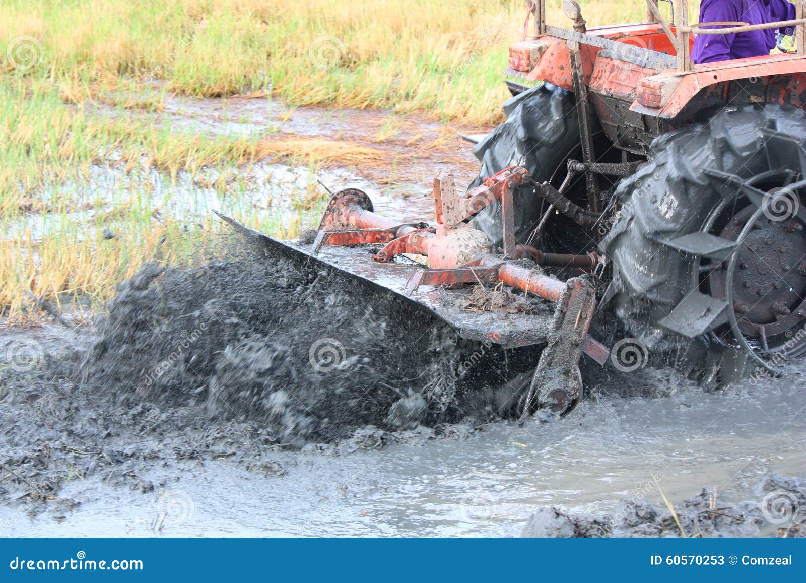 Tractor Plowing a Rice Field Stock Image - Image of asia, plowing: 60570253