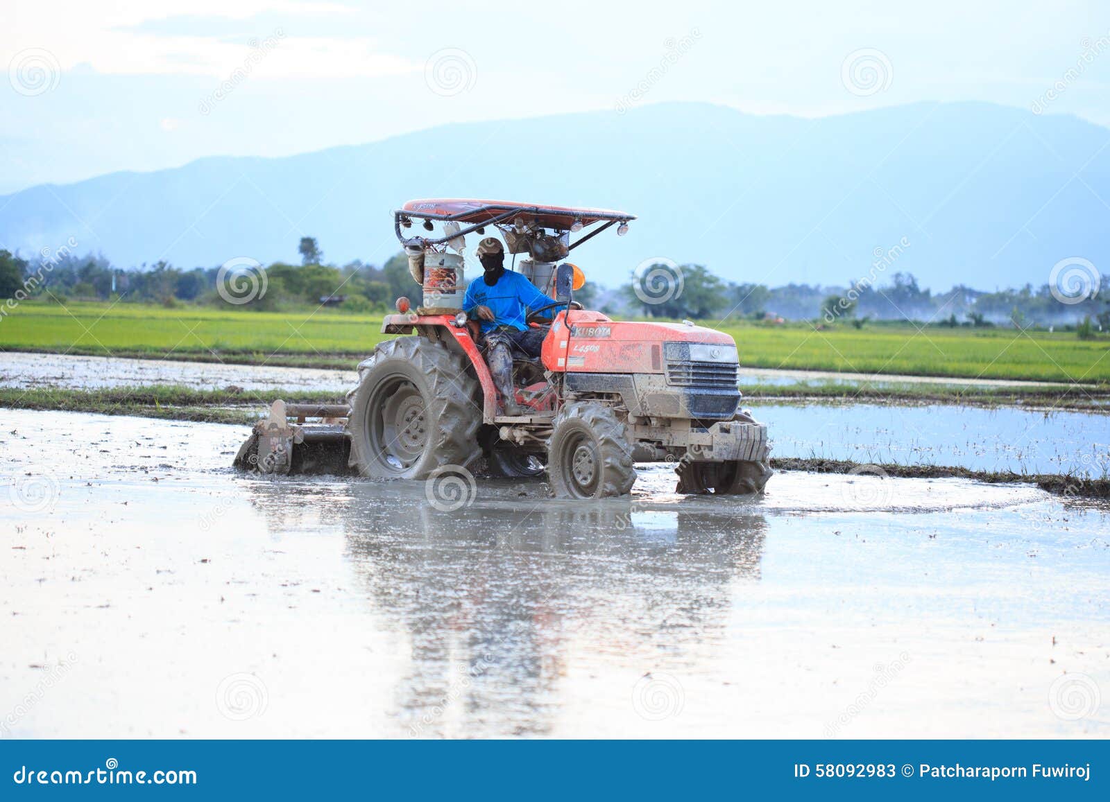 Tractor Plowing a Rice Field in Chiang Mai, Thailand on August 0 ...