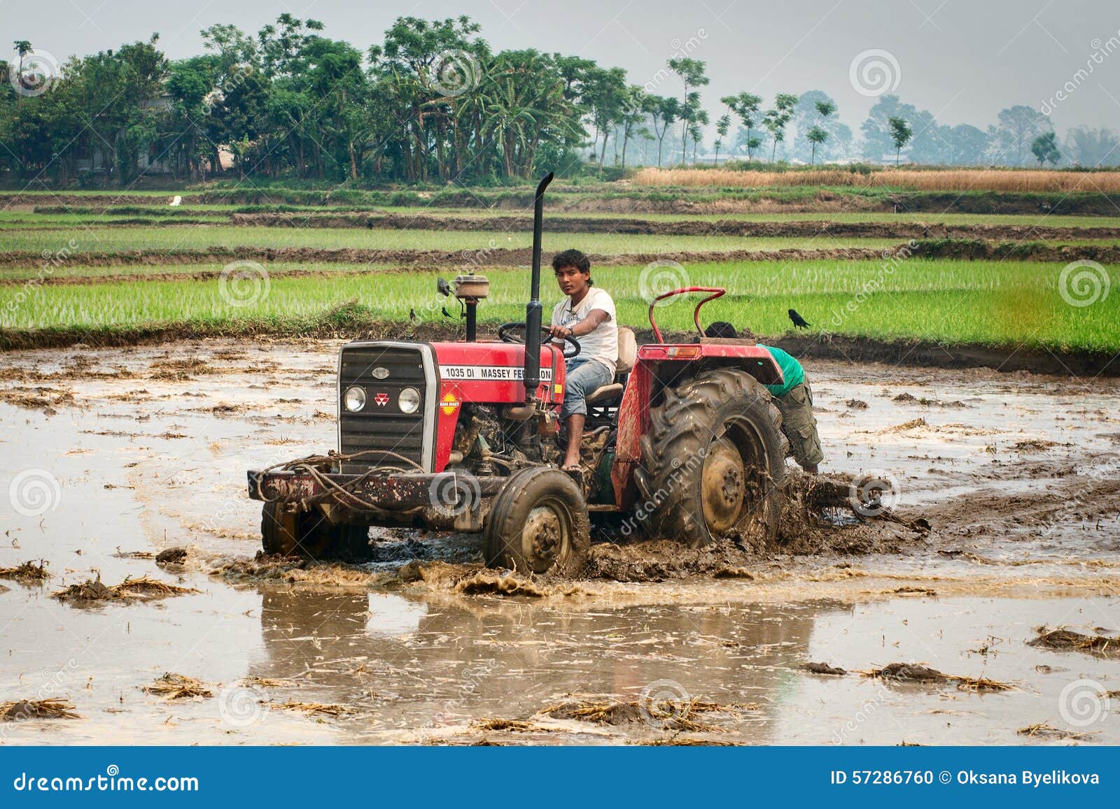 Tractor Plowing a Rice Field in Chitvan, Nepal Editorial Image - Image ...