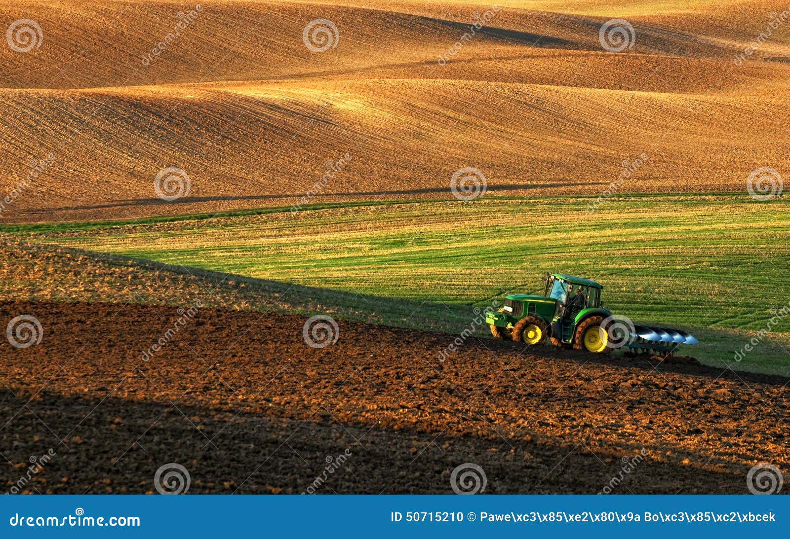 Tractor Plows a Field in the Spring Accompanied by Rooks Tractor ...