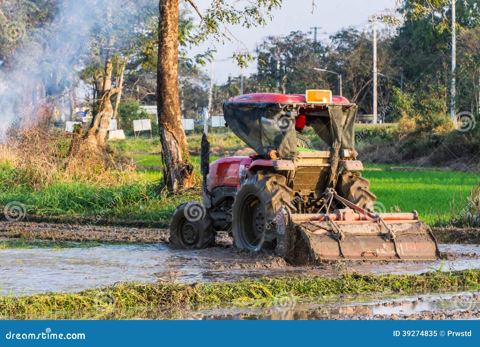 Tractor Prepares Rice Paddy, Agriculture in Thai Stock Image - Image of ...