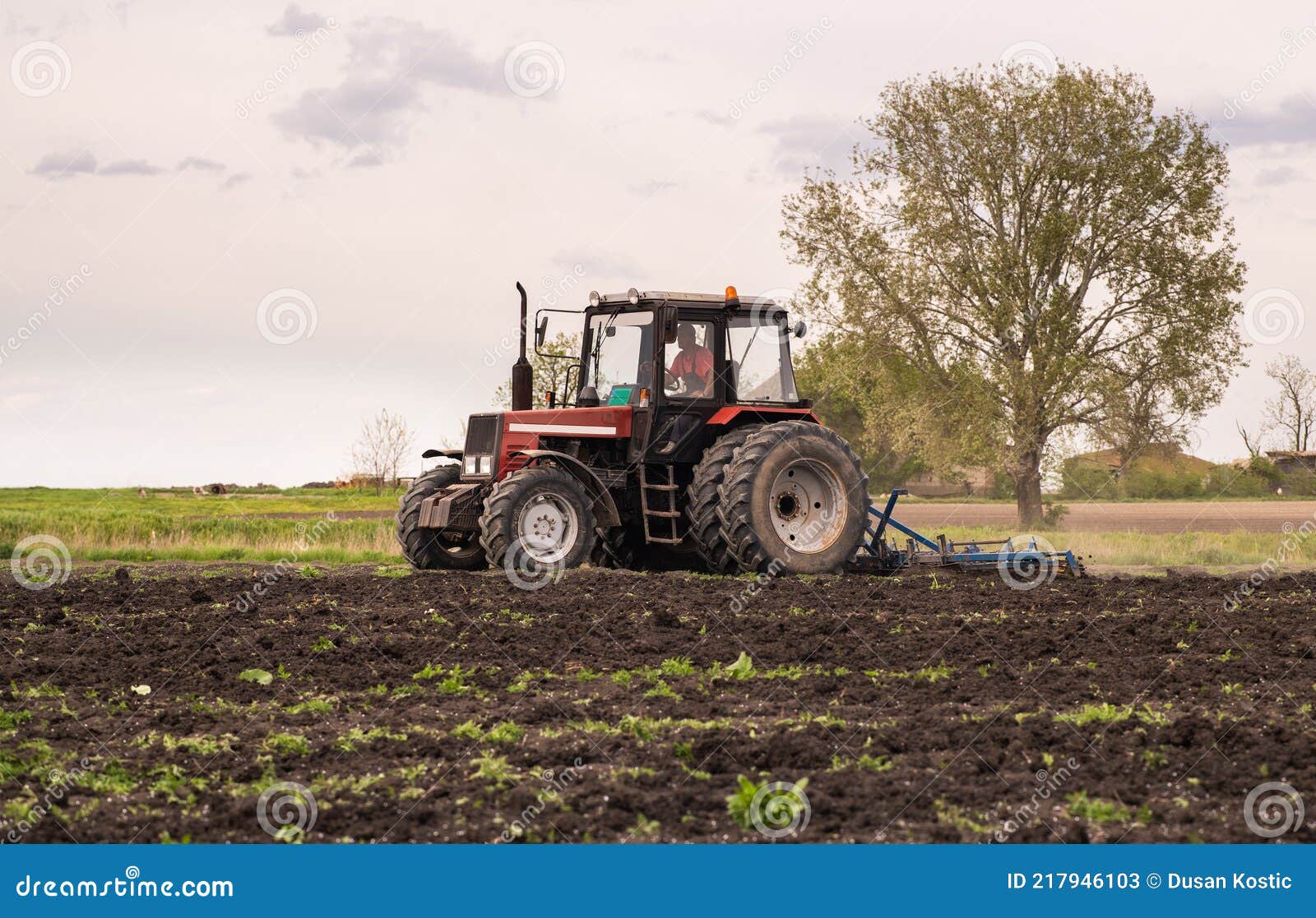 Tractor is Preparing the Land at Dusk Stock Image - Image of preparing ...