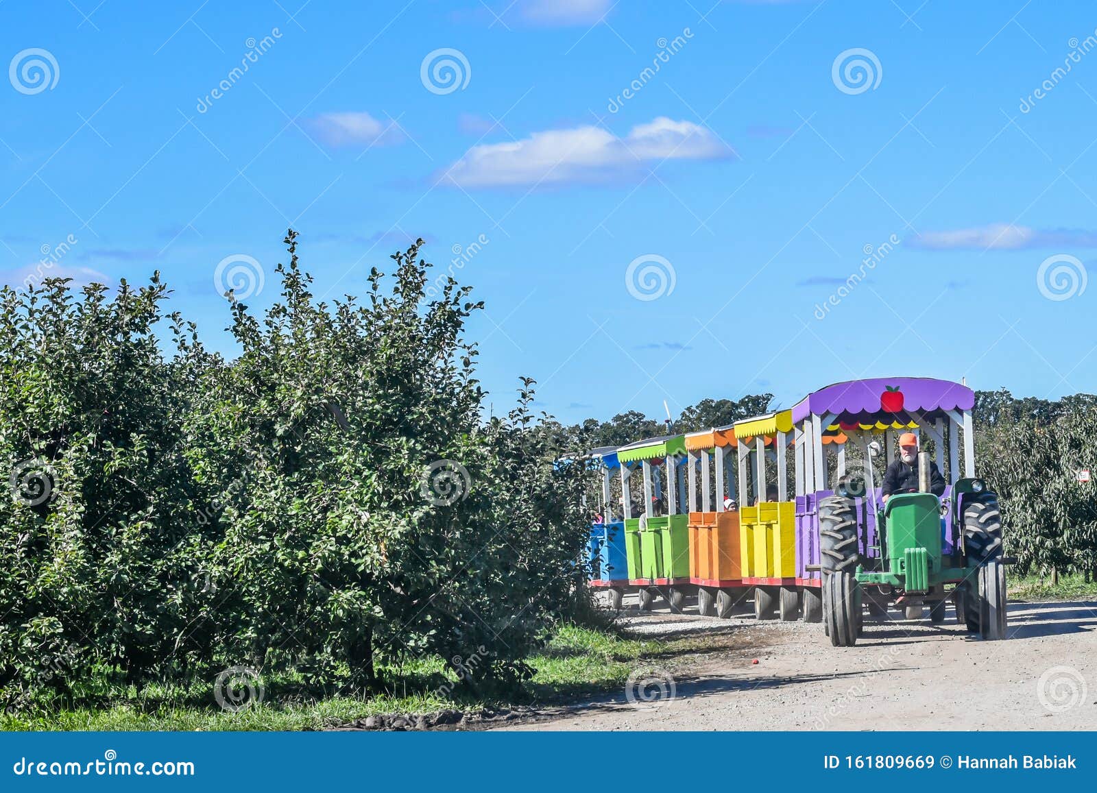 Tractor Pulled Train Rides through Apple Orchard Editorial Stock Image ...