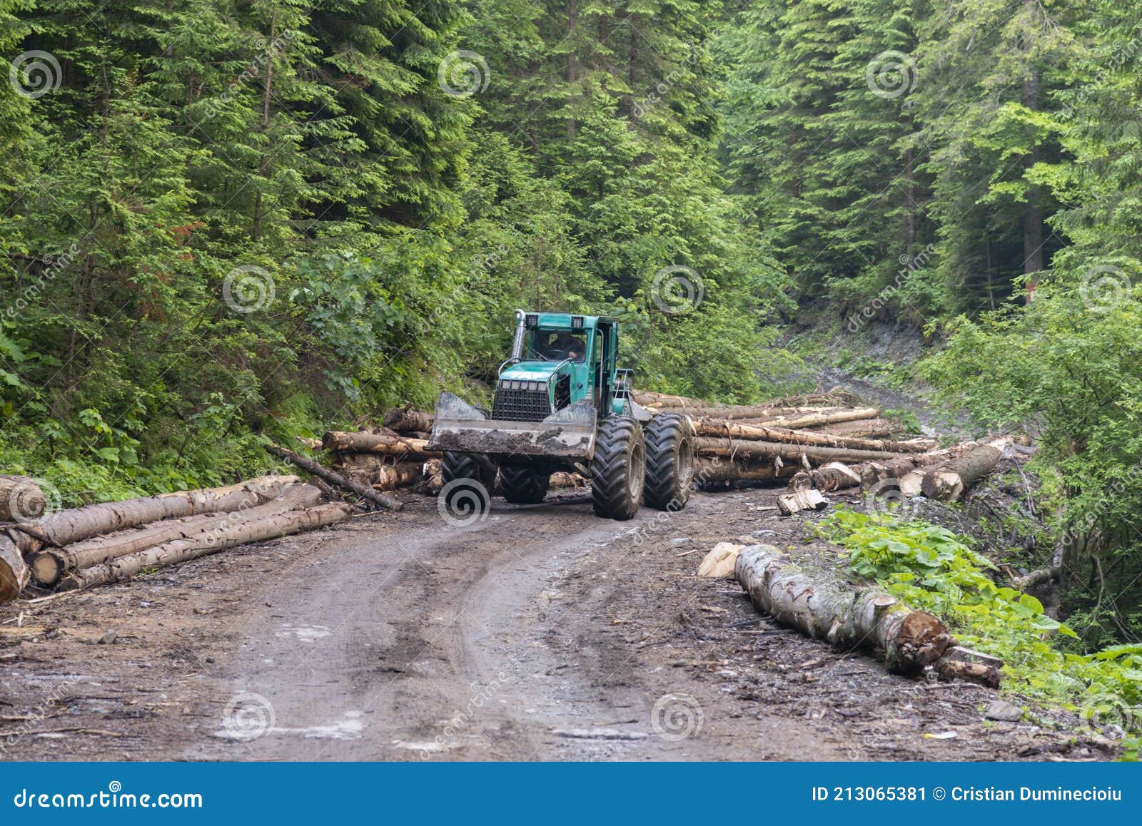Tractor Pulling Logs in the Forest Stock Image - Image of trucks ...