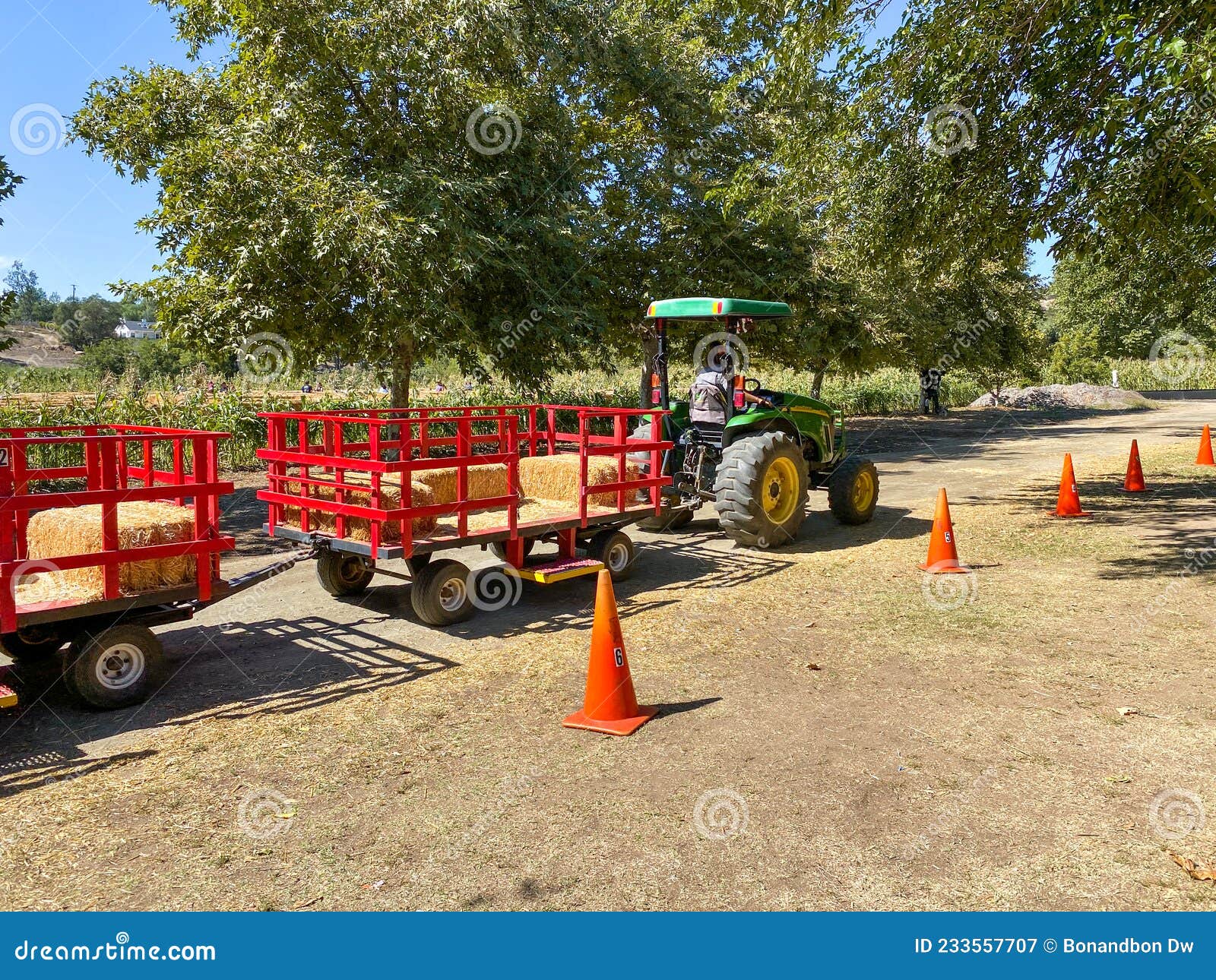 A Tractor Pulling a Train of Wagons on a Seasonal Adventures Pumpkin ...