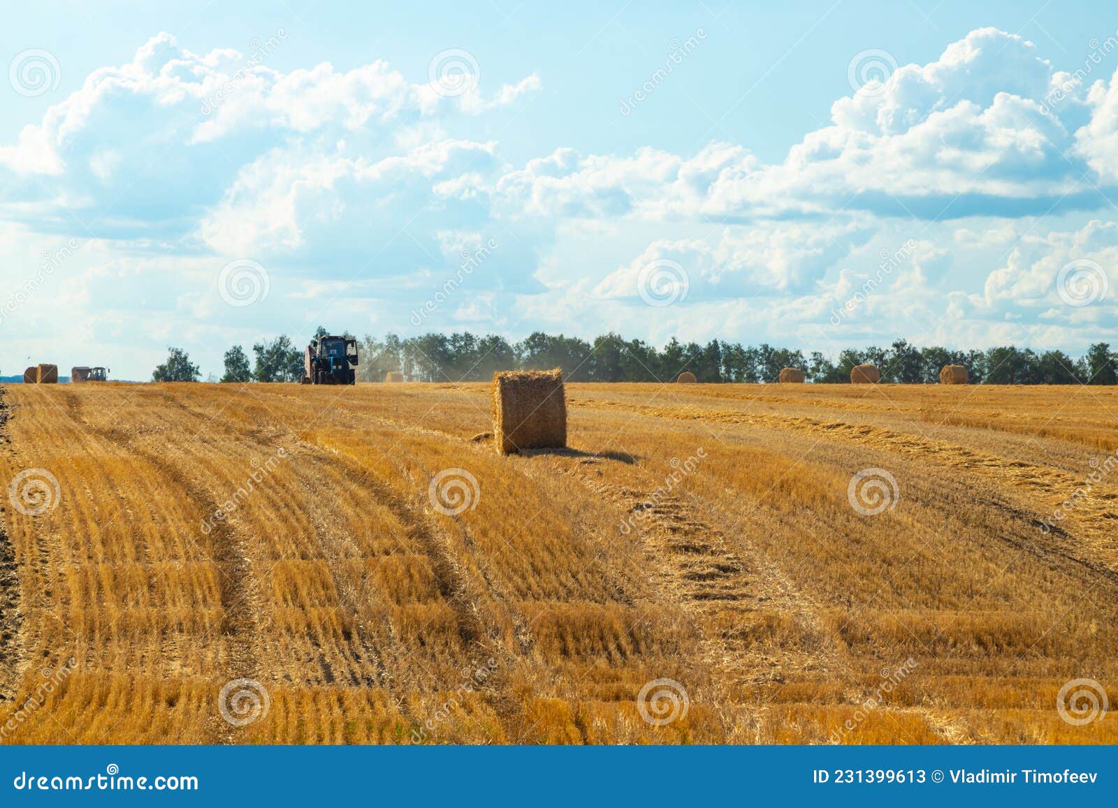 Tractor Pulls Round Baler in the Background of a Field with Haystacks ...