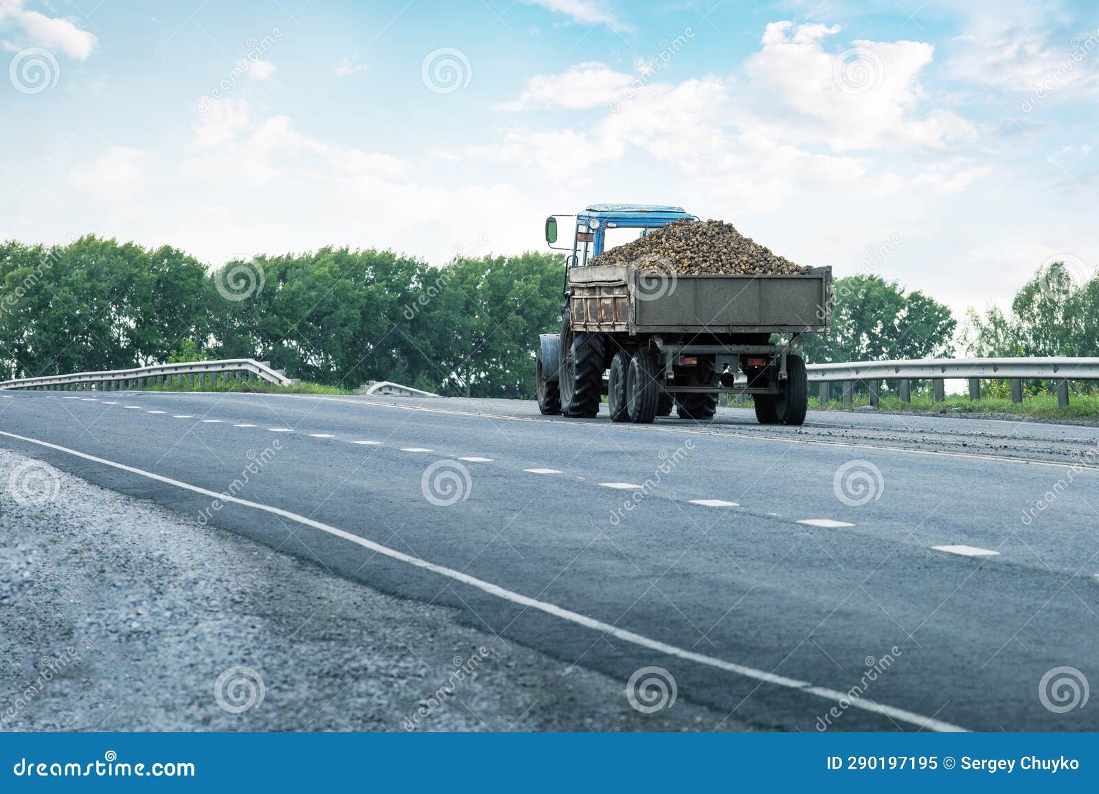 Tractor Pulls Trailer with Potatoes Driving on the Road Stock Image ...
