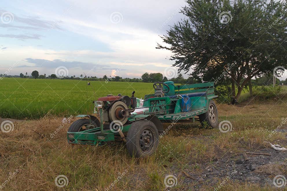 Tractor put on rice field stock image. Image of fresh - 63741817