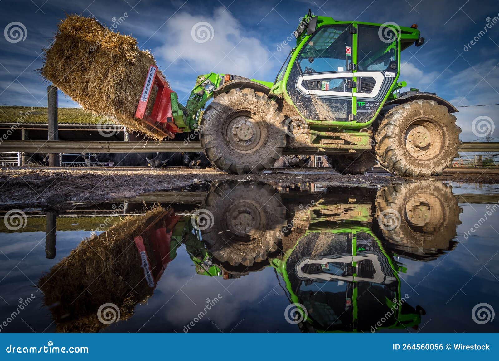 Tractor Raising a Bale of Hay on Its Forks with the Reflection in Wat ...