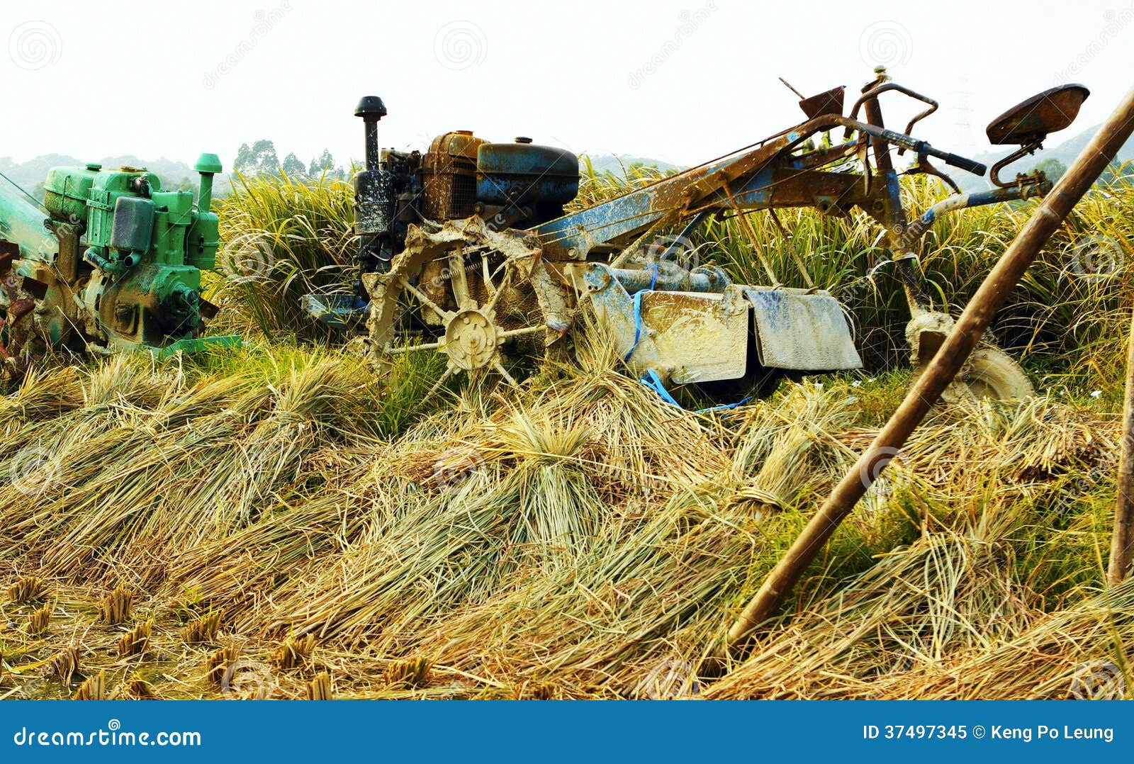 Tractor on rice farm stock image. Image of reflection - 37497345