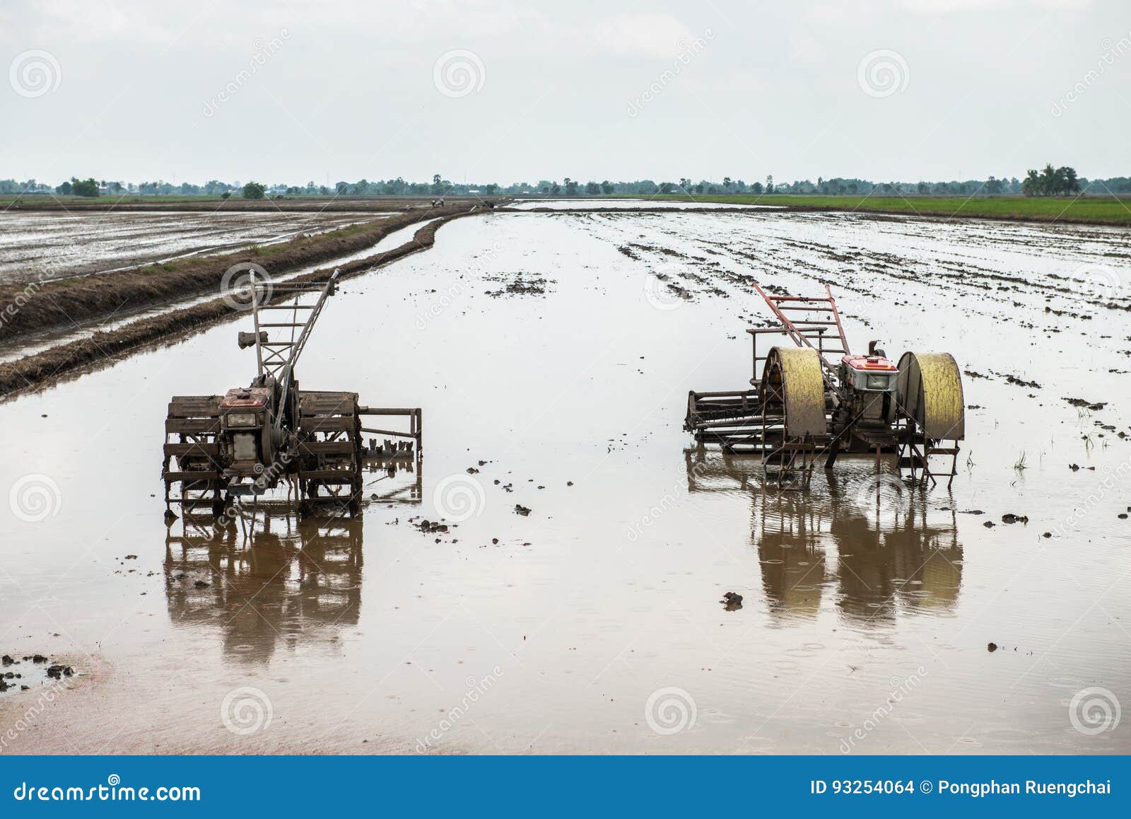Tractor in rice field stock photo. Image of thailand - 93254064