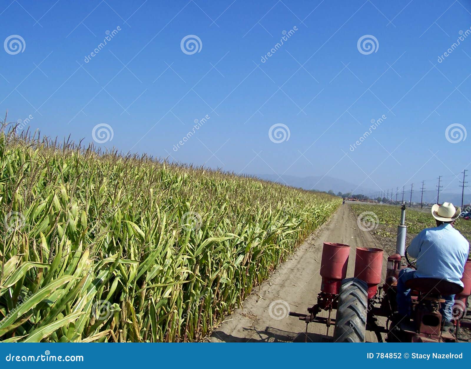 Tractor rider stock photo. Image of background, recreation - 784852