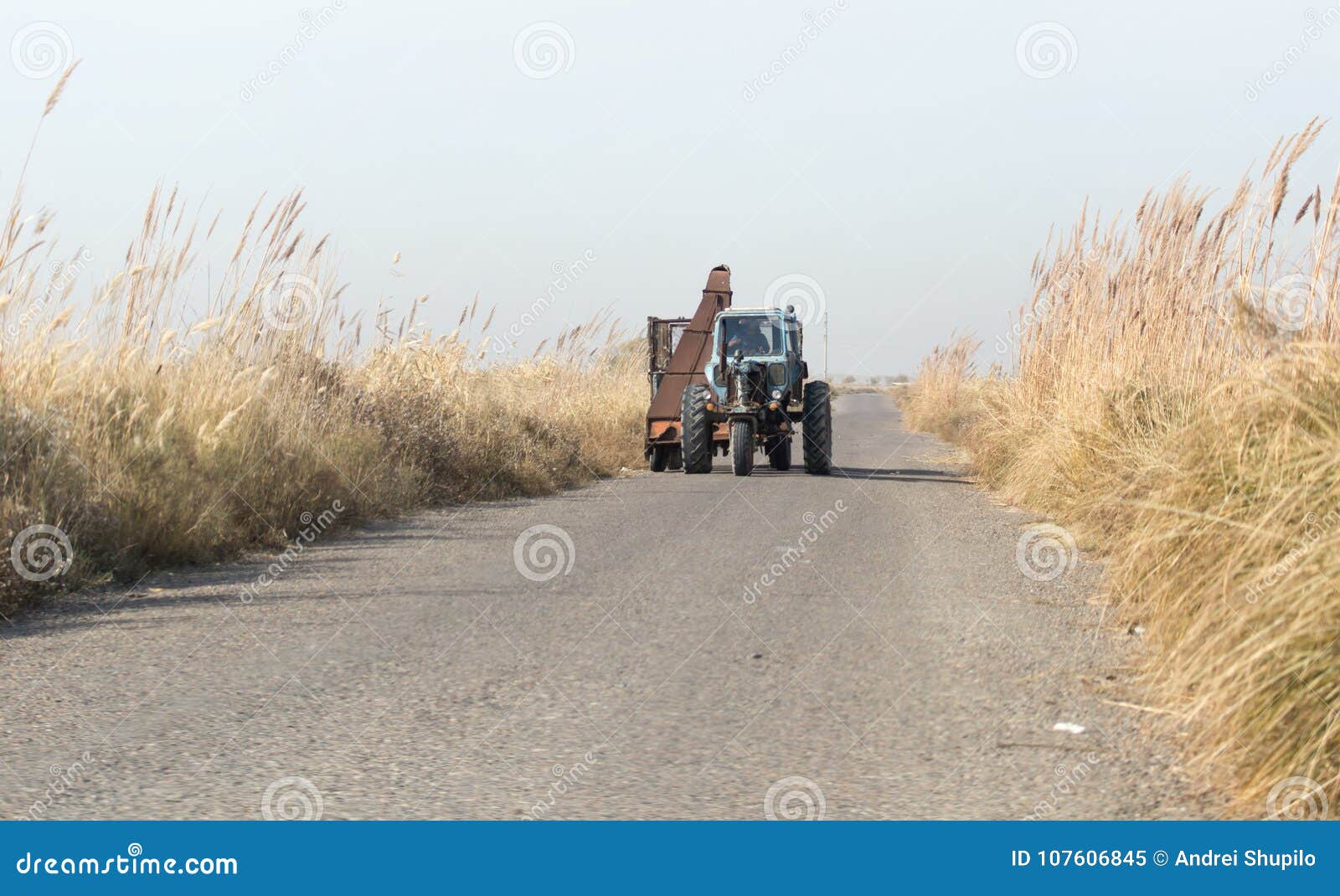Tractor on the Road with a Cane Stock Image - Image of planting, soil ...