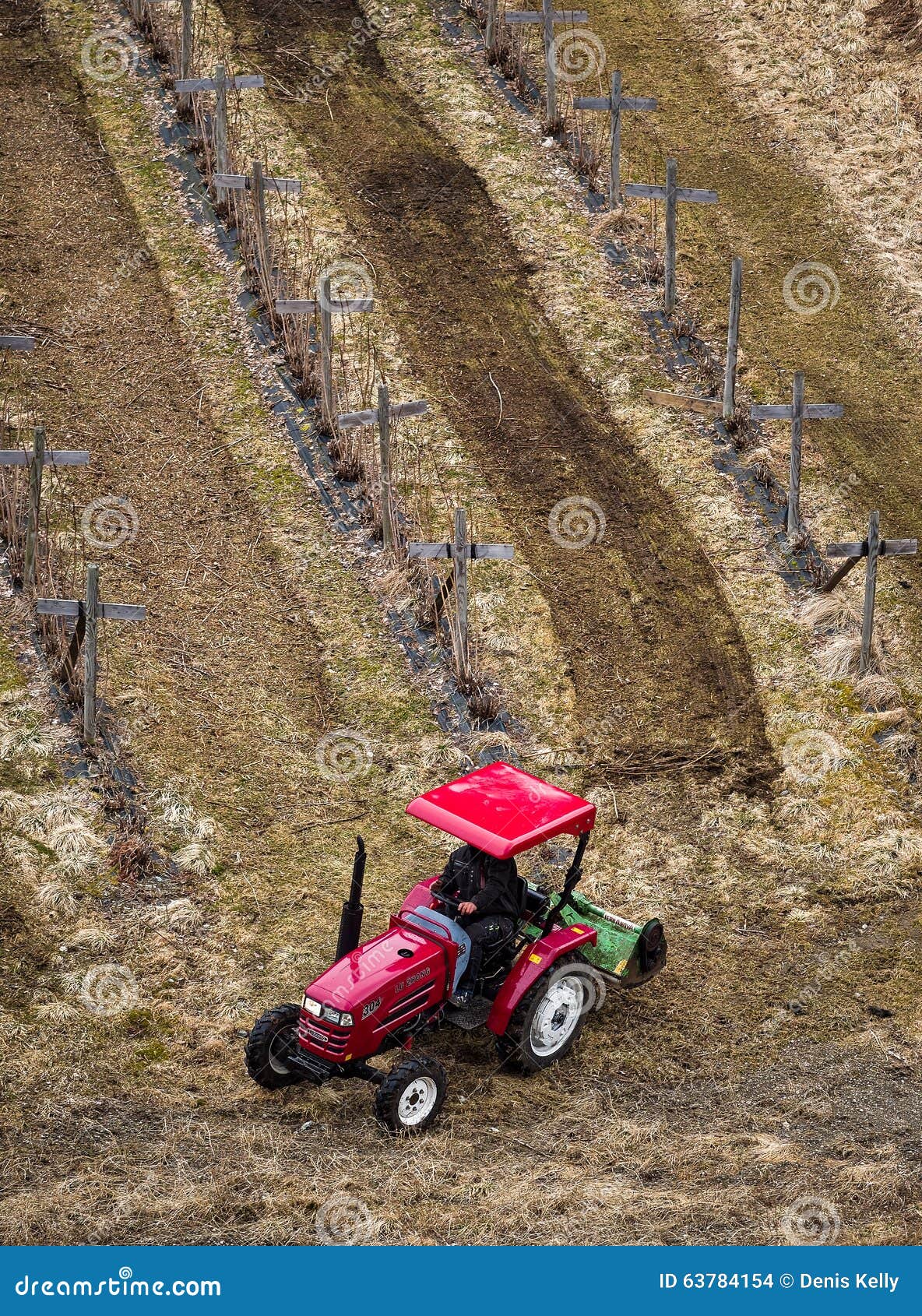 Tractor Rojo Que Trabaja En Campo Imagen de archivo editorial - Imagen ...