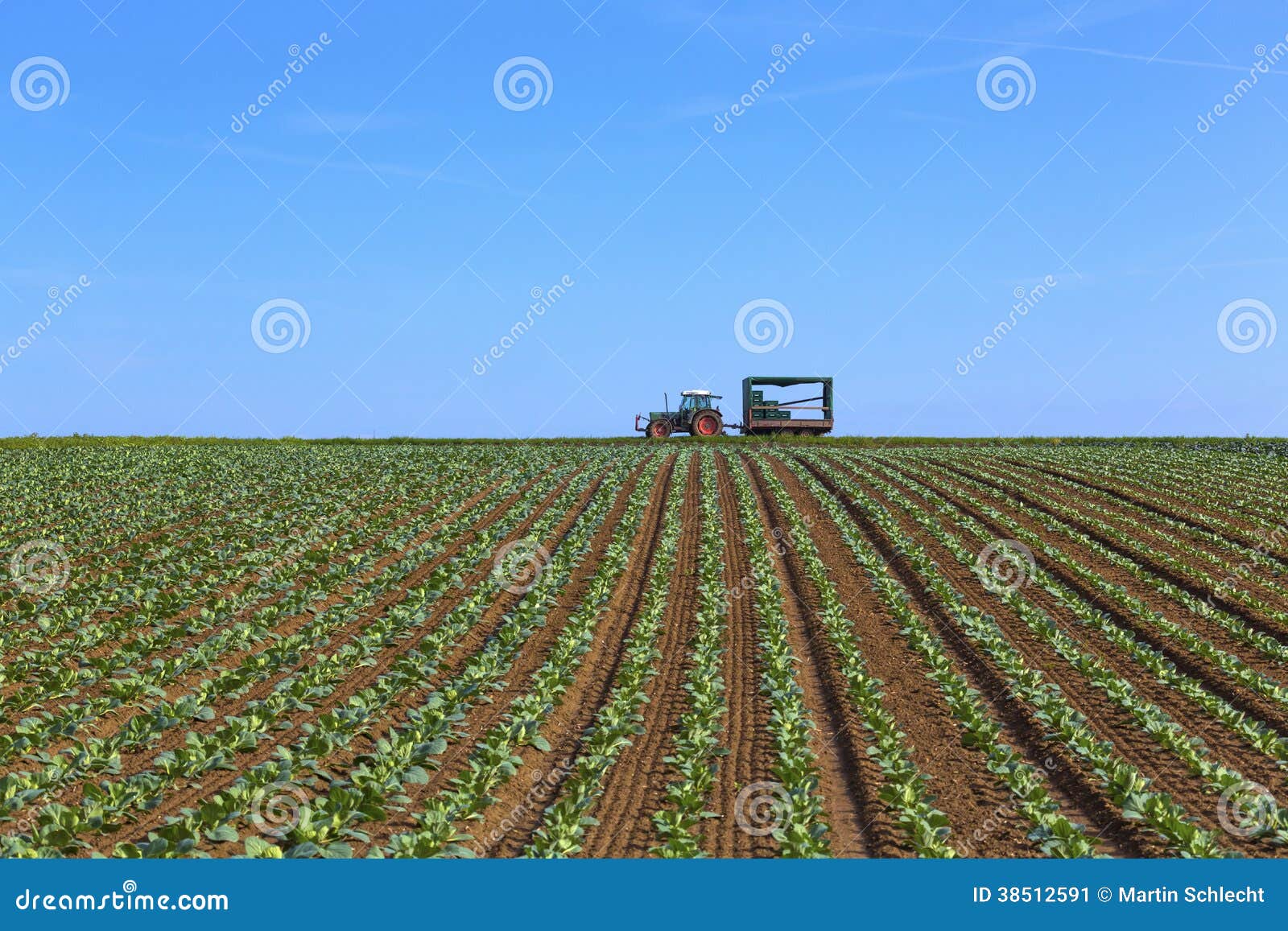 Tractor stock image. Image of meadow, landscaped, agriculture - 38512591