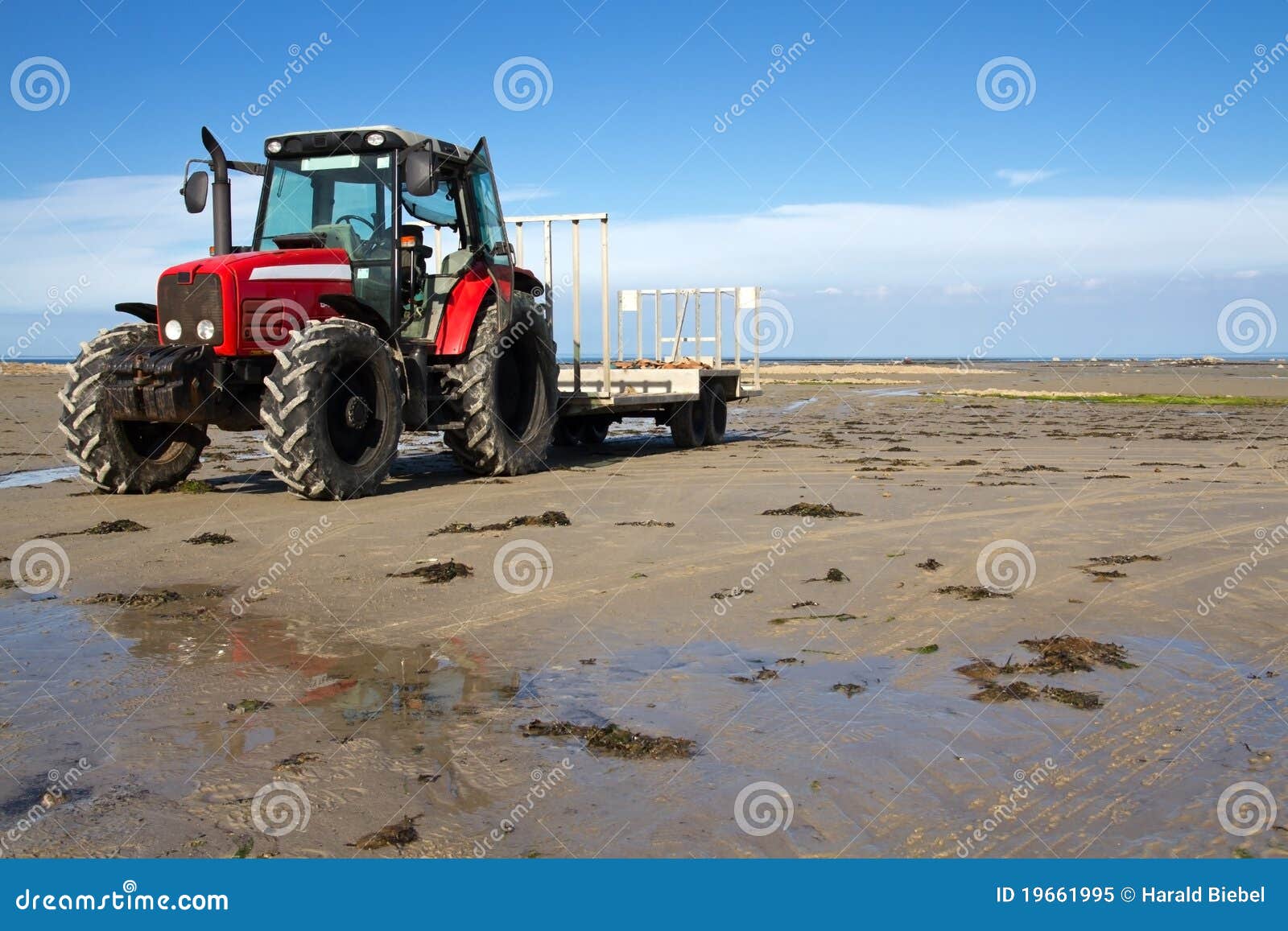 Tractor on a sandy beach stock image. Image of salt, sandy - 19661995