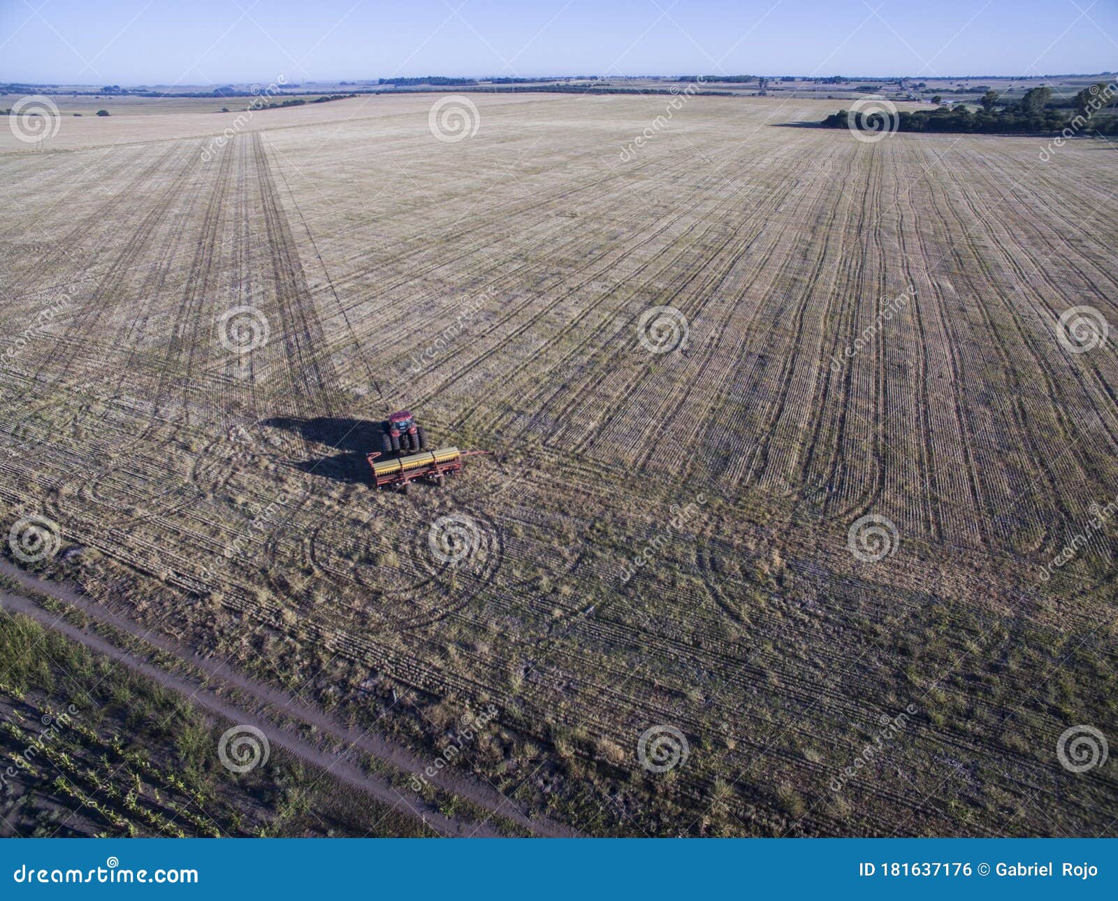 Tractor and Seeder, Direct Sowing Stock Photo - Image of grass ...