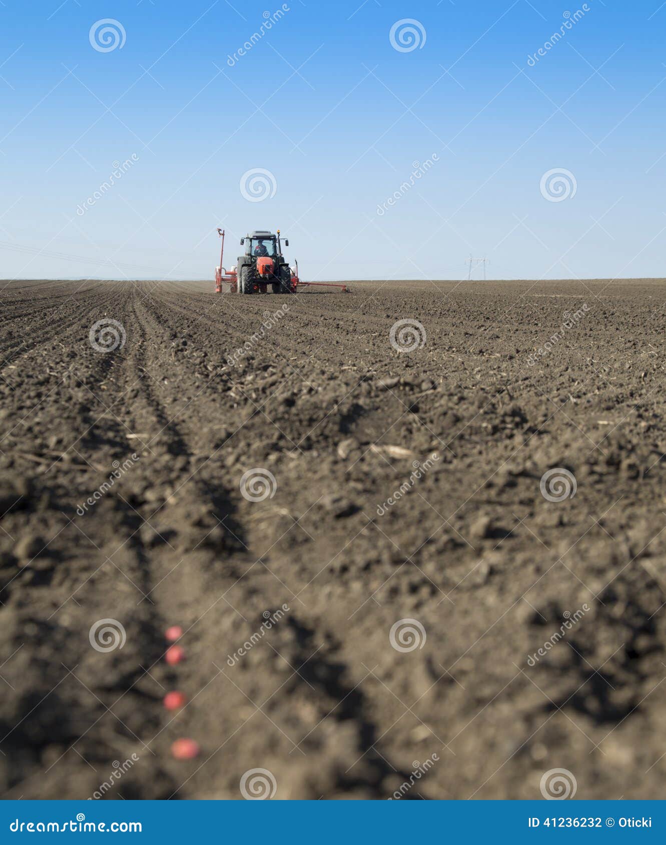 Tractor Seeding Crops at Field Stock Photo - Image of husbandry, seed ...