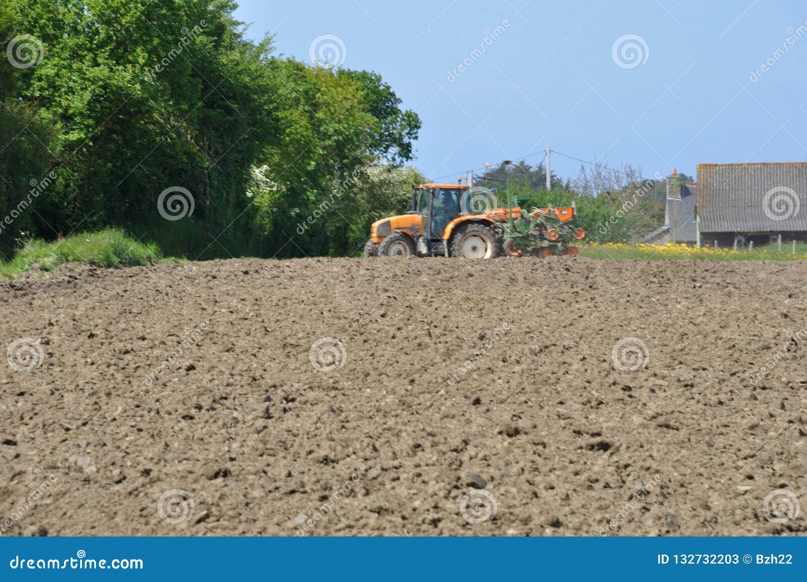 Tractor sowing maize stock image. Image of agriculture - 132732203