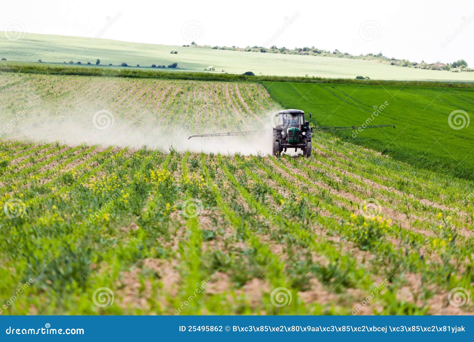 Tractor Spraying, Agriculture Stock Photo - Image of machine, labour ...