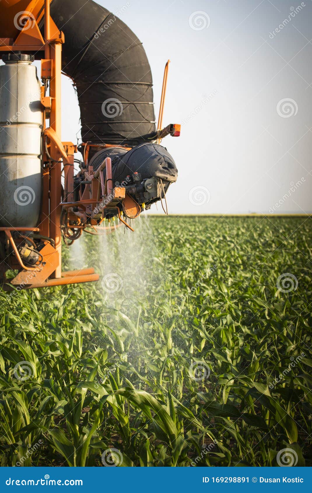 Tractor Spraying Corn Field Stock Image - Image of scenics, material ...
