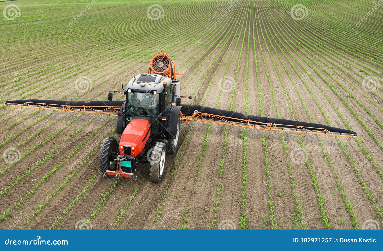Tractor Spraying Corn Field Stock Image - Image of farmer, agricultural ...