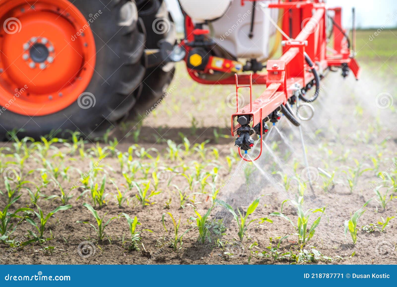 Tractor Spraying Corn Field Stock Image - Image of driving, farm: 218787771