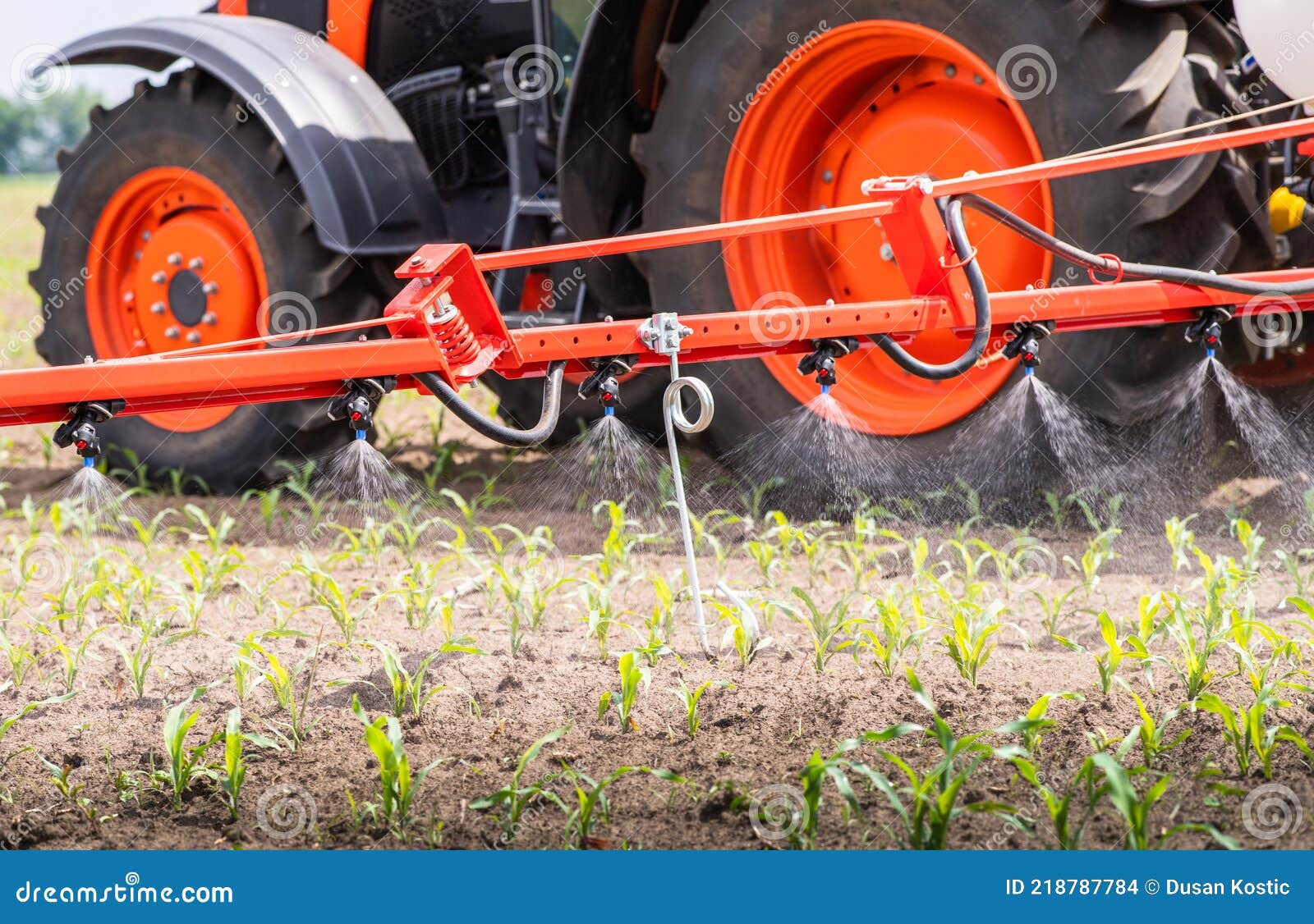 Tractor Spraying Corn Field Stock Photo - Image of land, care: 218787784
