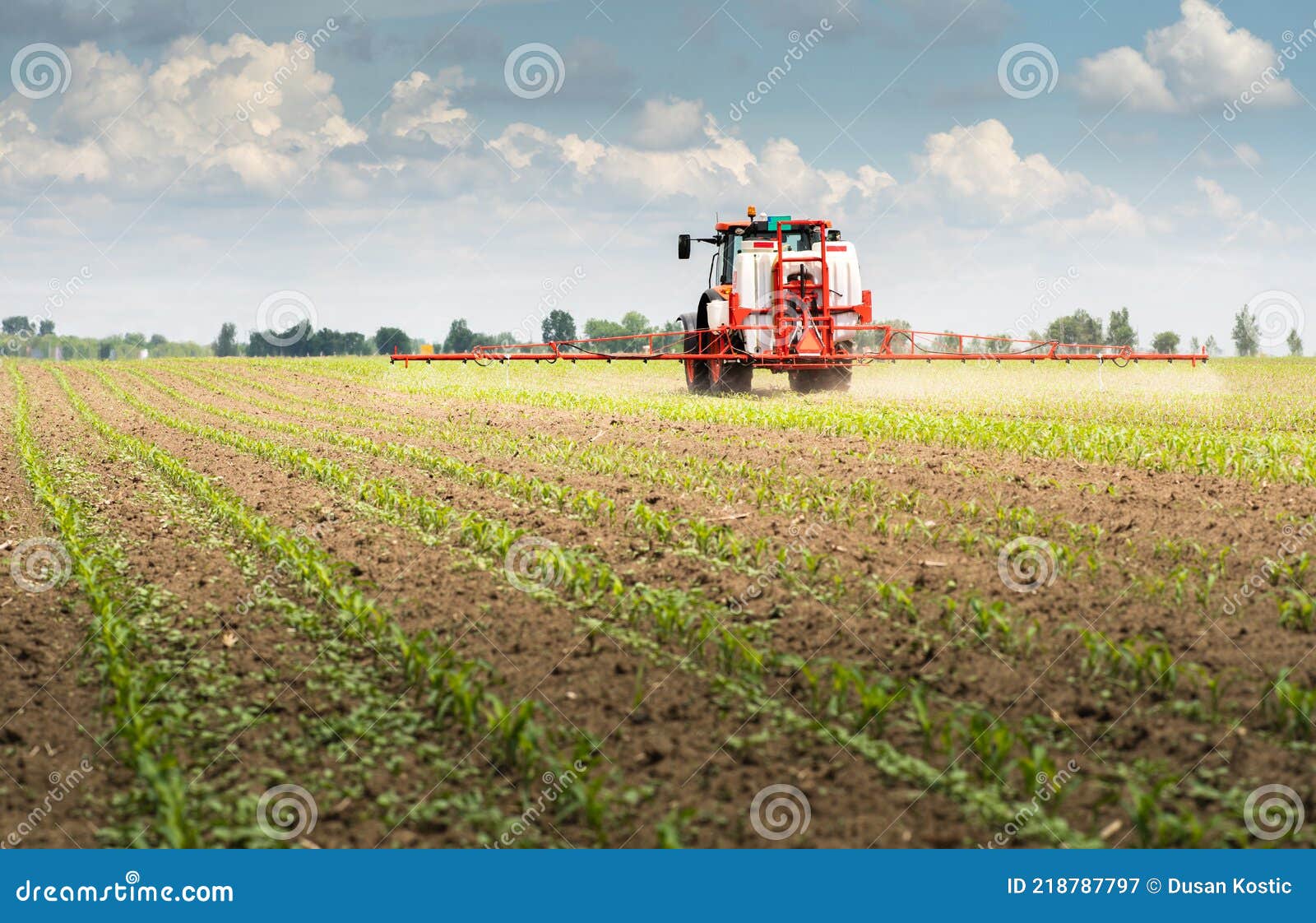 Tractor Spraying Corn Field Stock Image - Image of farmer, land: 218787797