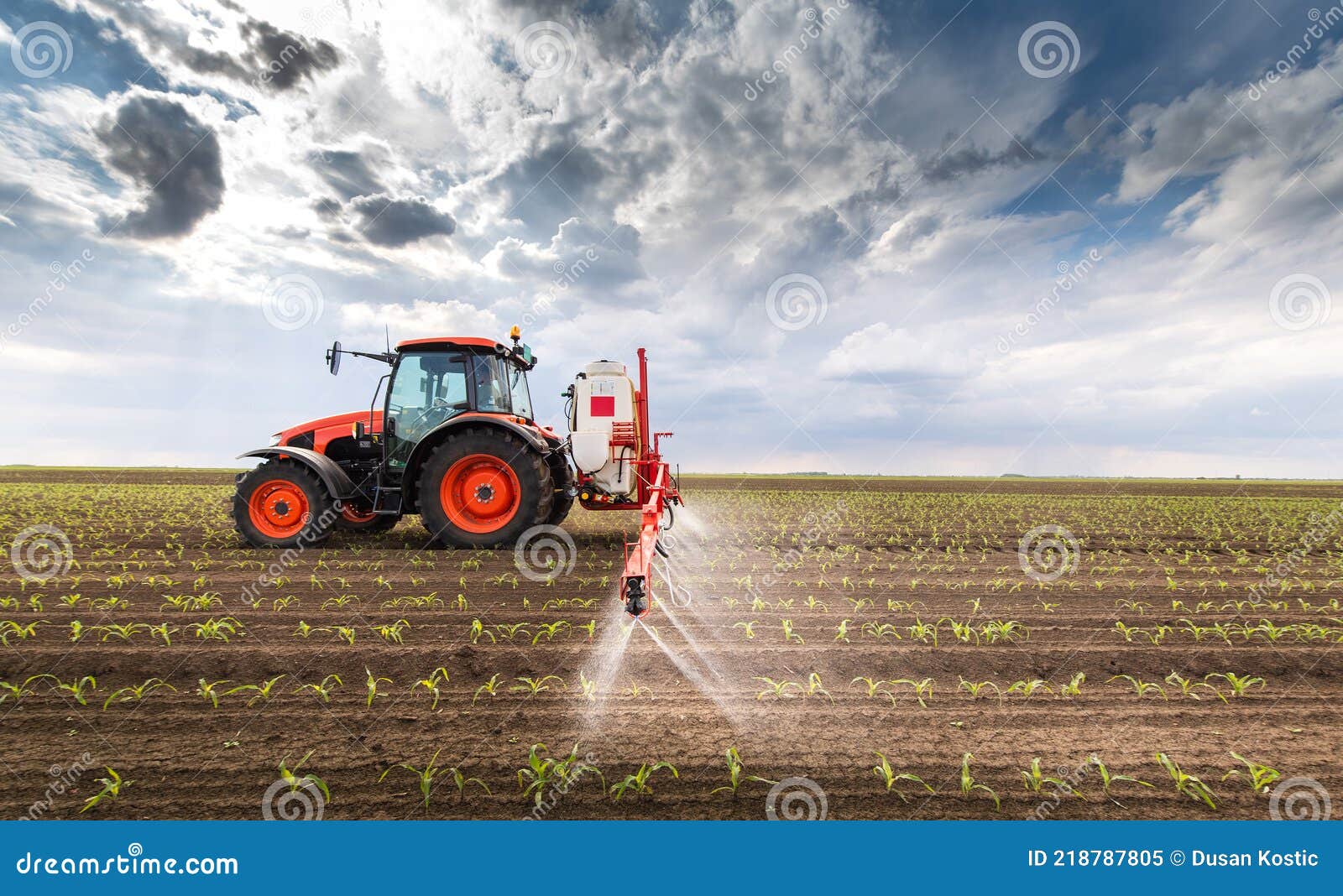 Tractor Spraying Corn Field Stock Image - Image of pesticide, care ...
