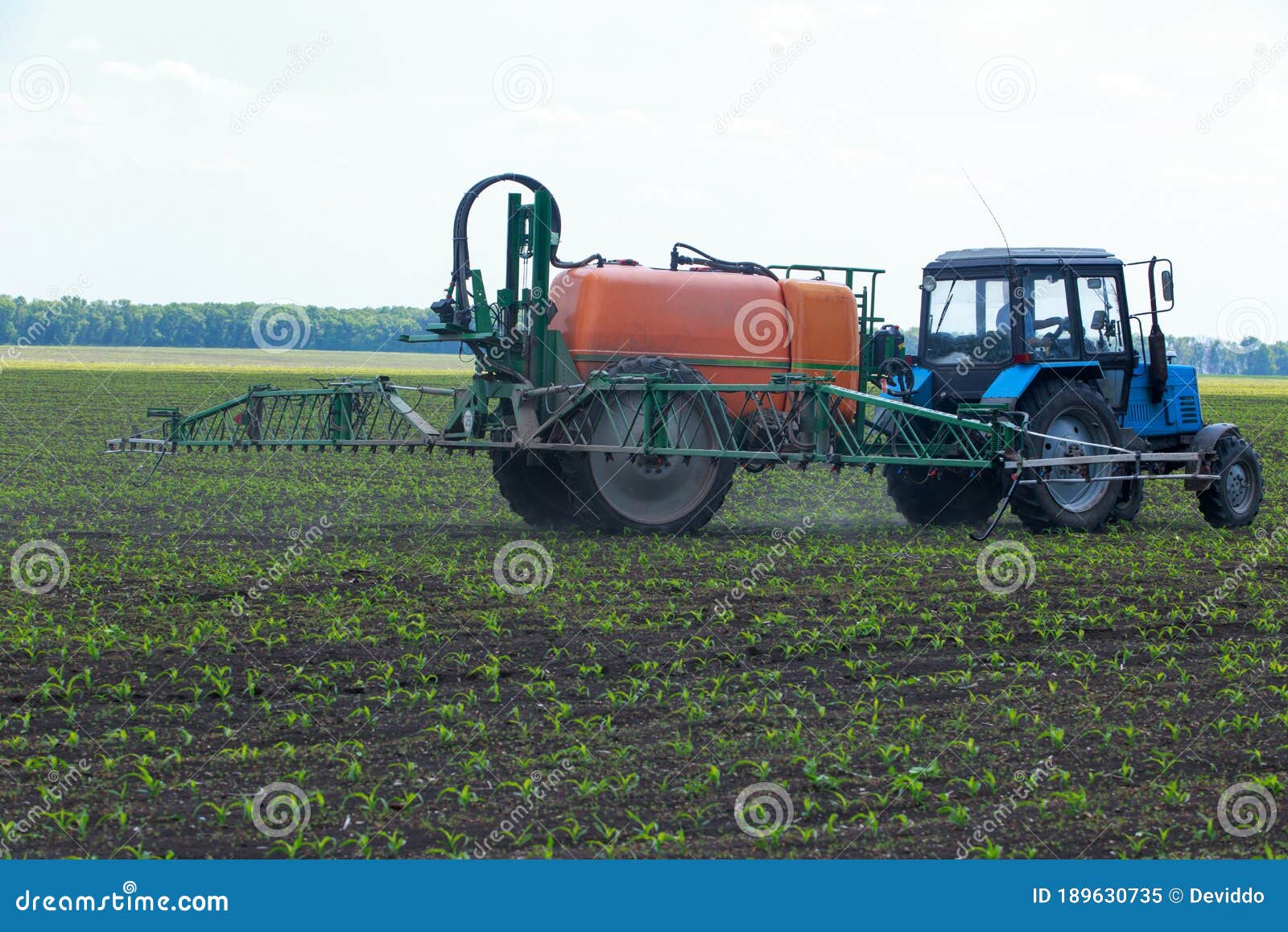 Tractor Spraying a Corn Field Stock Image - Image of produce ...
